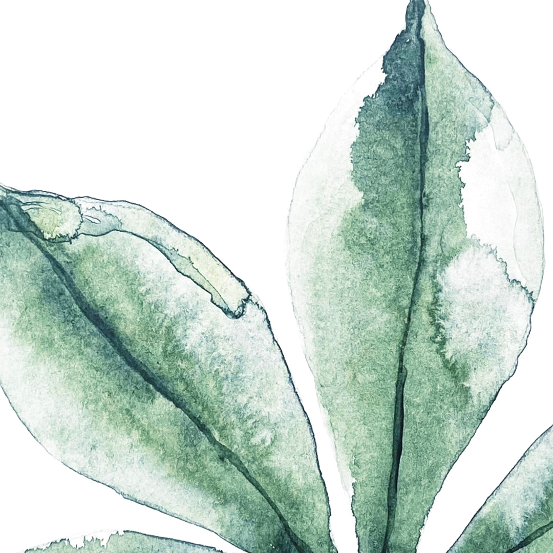 Watercolor Plant, Green Printable Wall Art, botanical water - Inspire ...