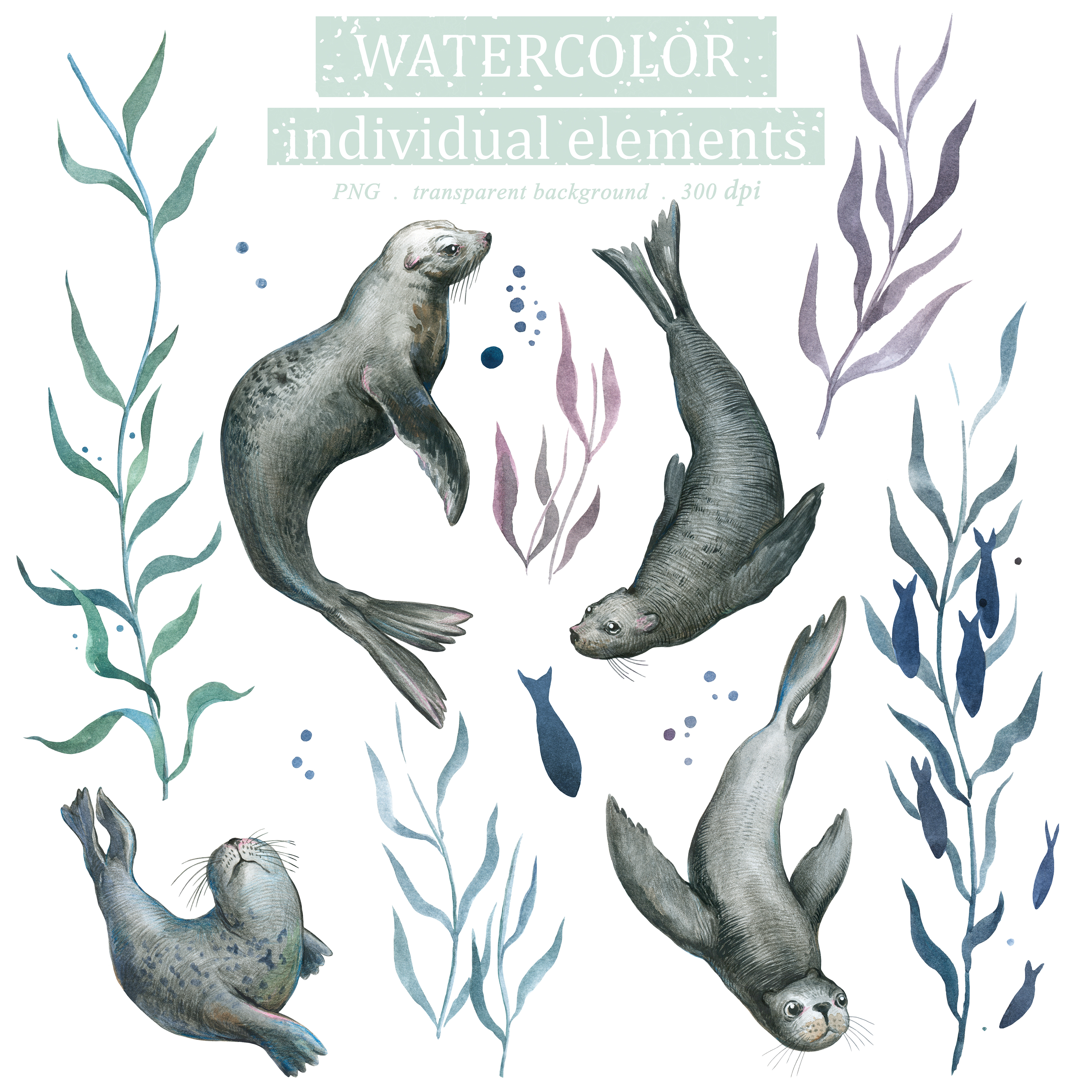Watercolor Illustration set Of wild animals seals Clipart PN - Inspire ...