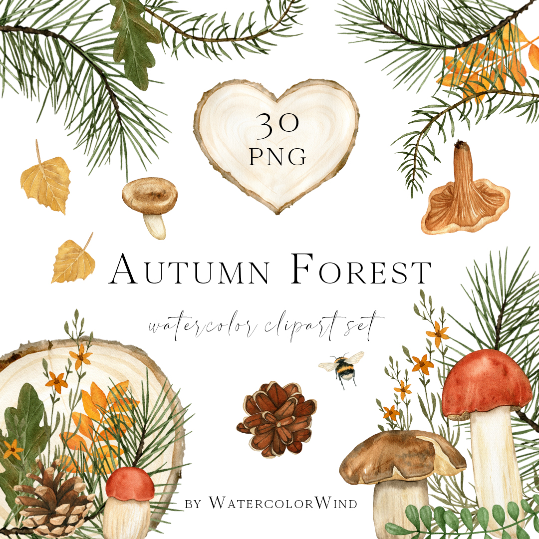 Fall forest mushrooms watercolor clipart, digital png files | Inspire ...