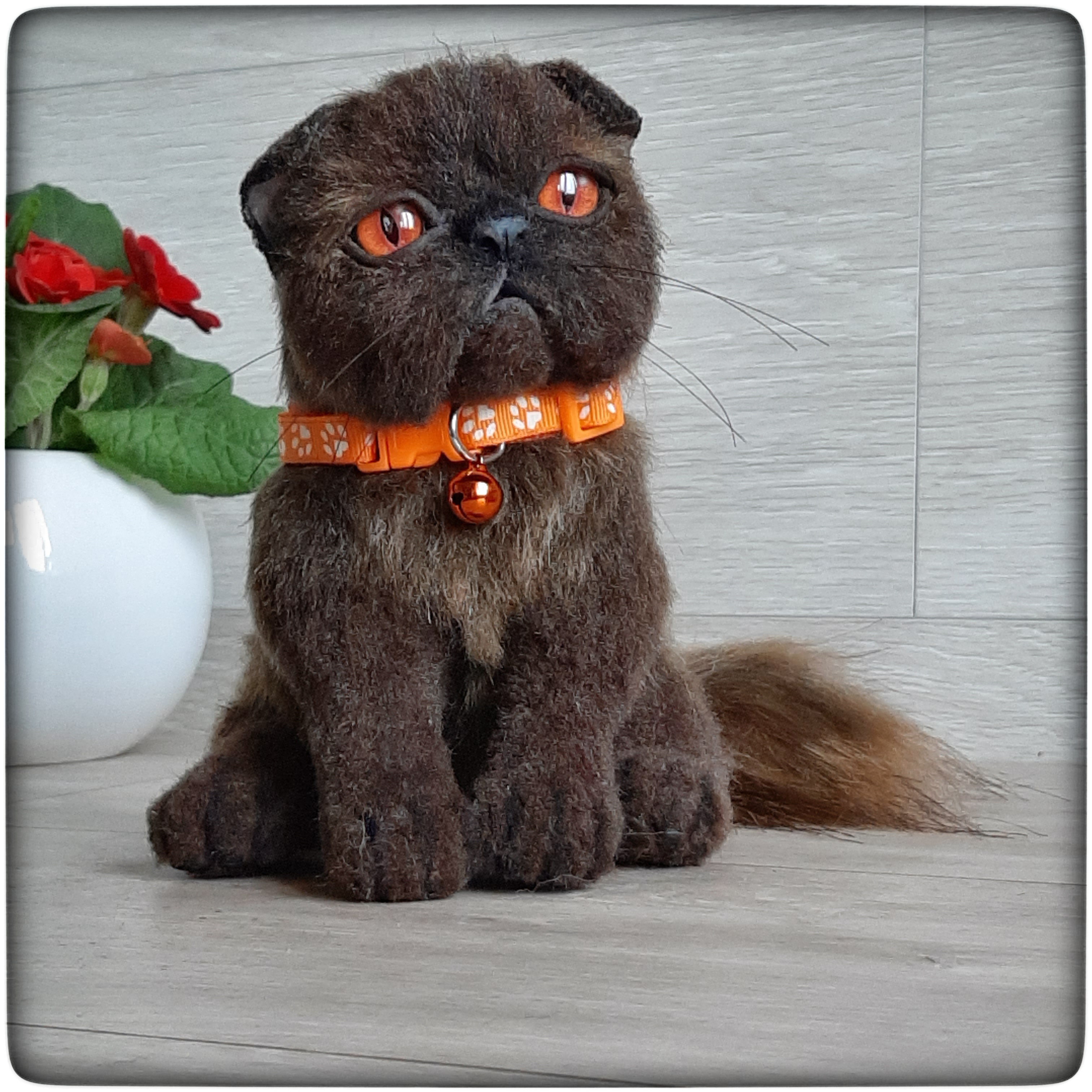 Cat,soft toy cat,white kitten,realistic cat, brown cat | Inspire Uplift