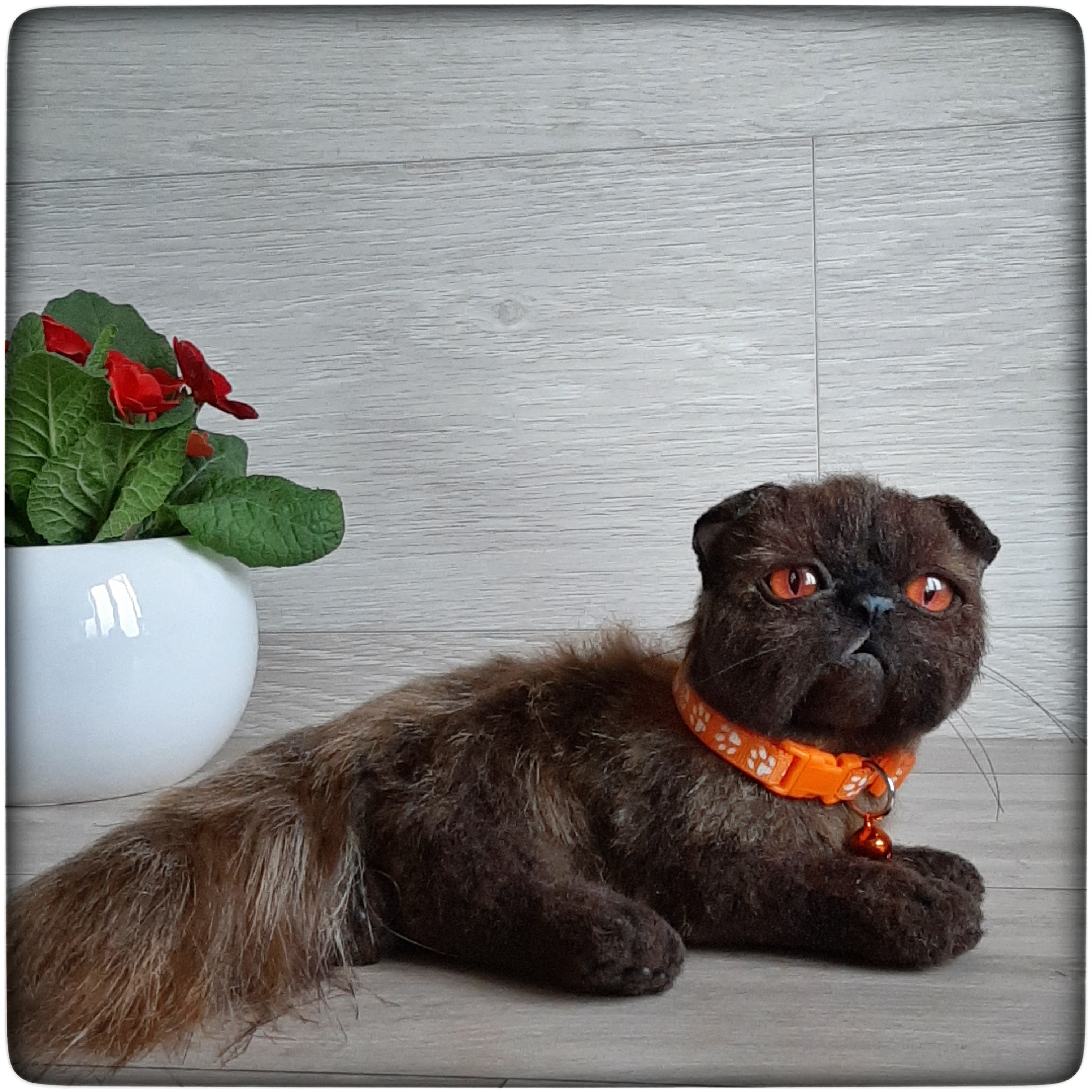 Cat,soft toy cat,white kitten,realistic cat, brown cat - Inspire Uplift