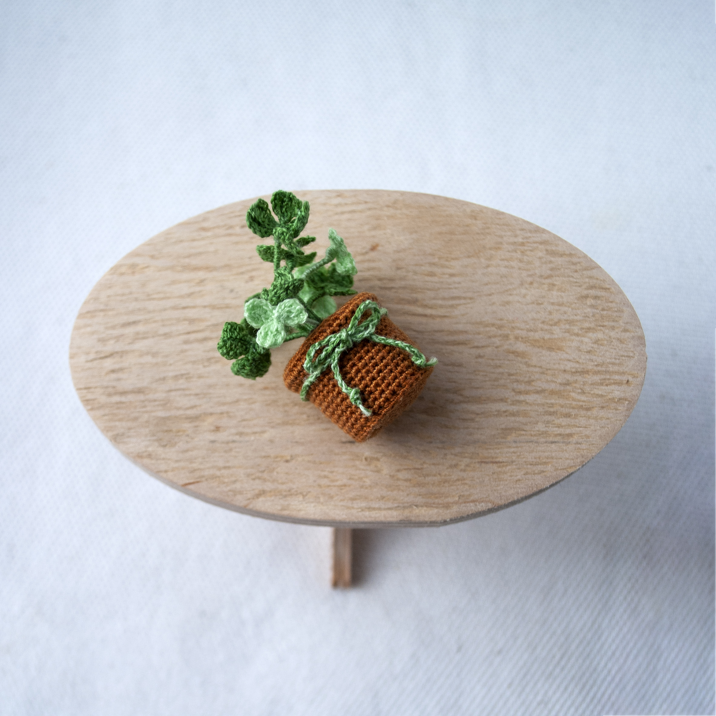 Miniature CLOVER in a pot, St Patricks Day decorations, Tiny - Inspire ...