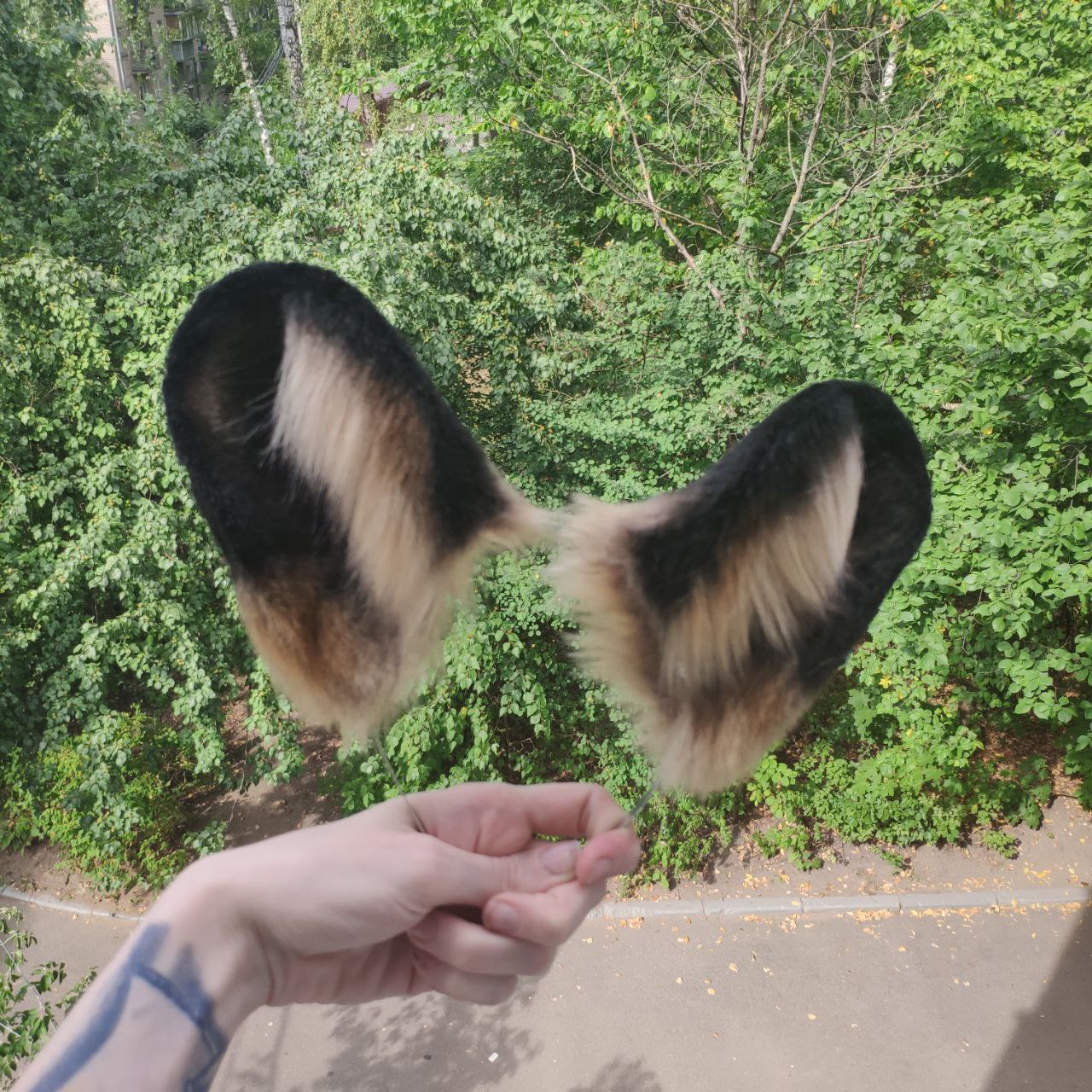 African Wild Dog Ears Headband - Inspire Uplift