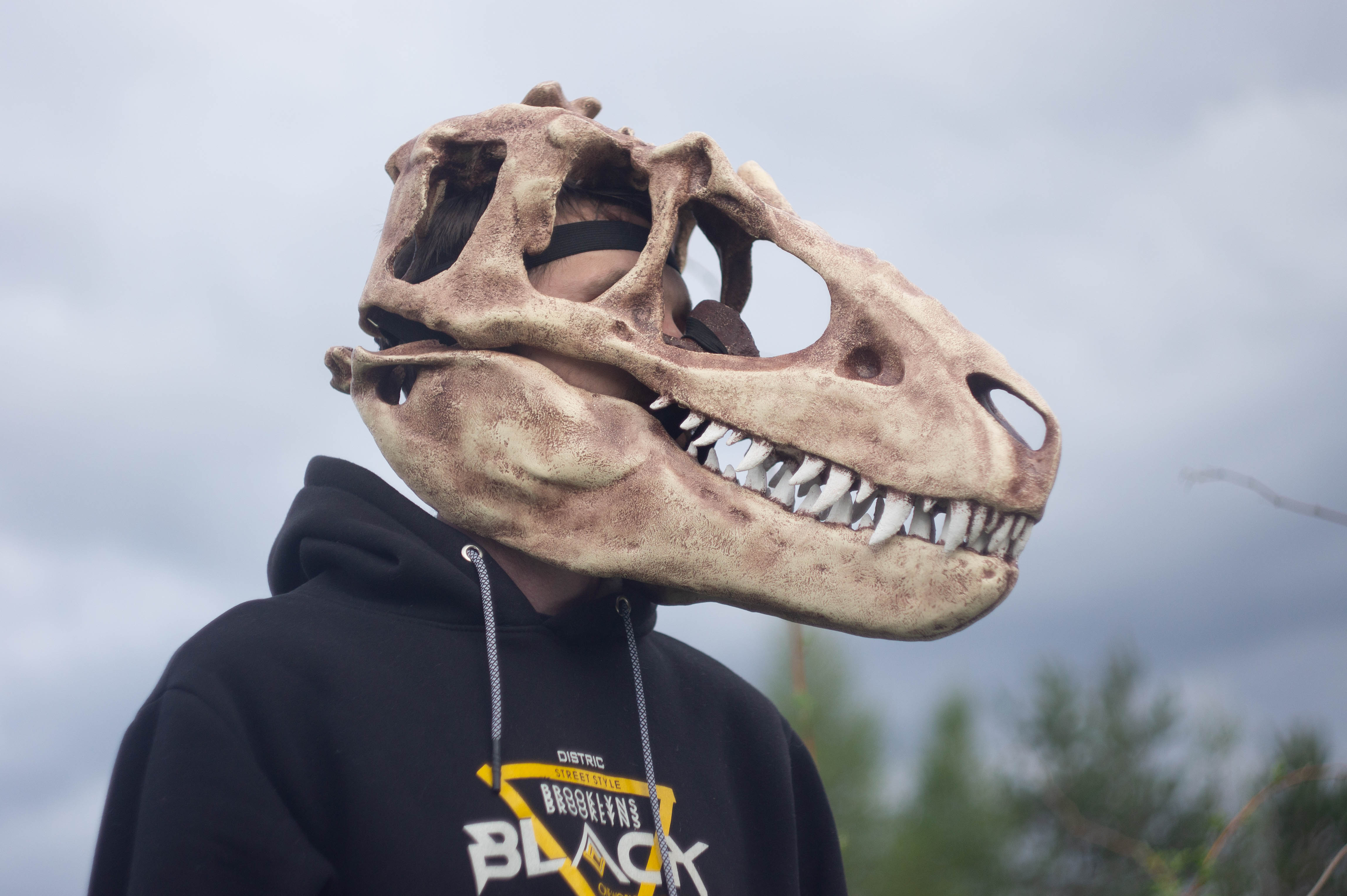 Tyrannosaurus Skull Mask with Lower jaw, T-Rex Skull, Realis | Inspire ...
