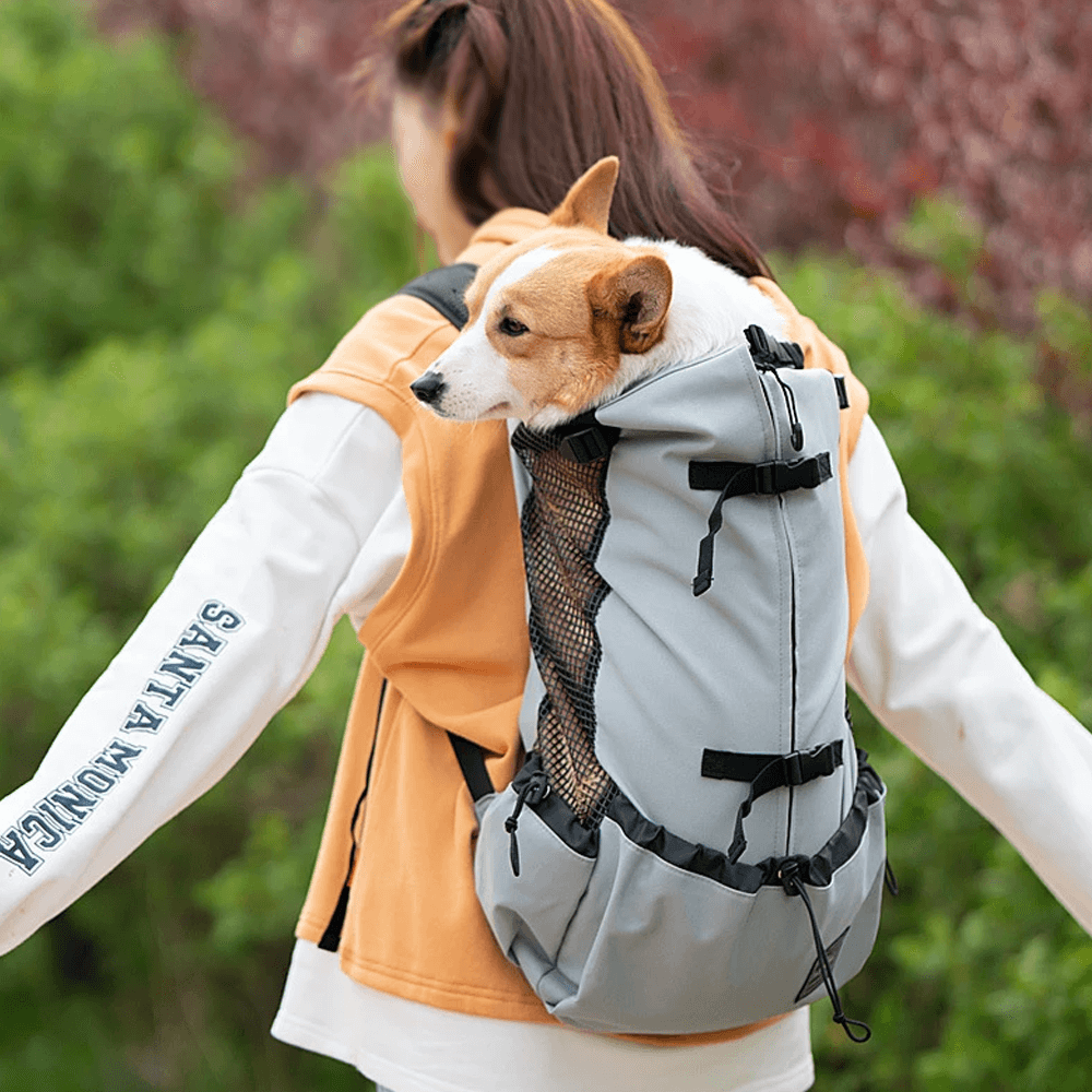 Durable & Long-Lasting Dog Holder Backpack | Inspire Uplift