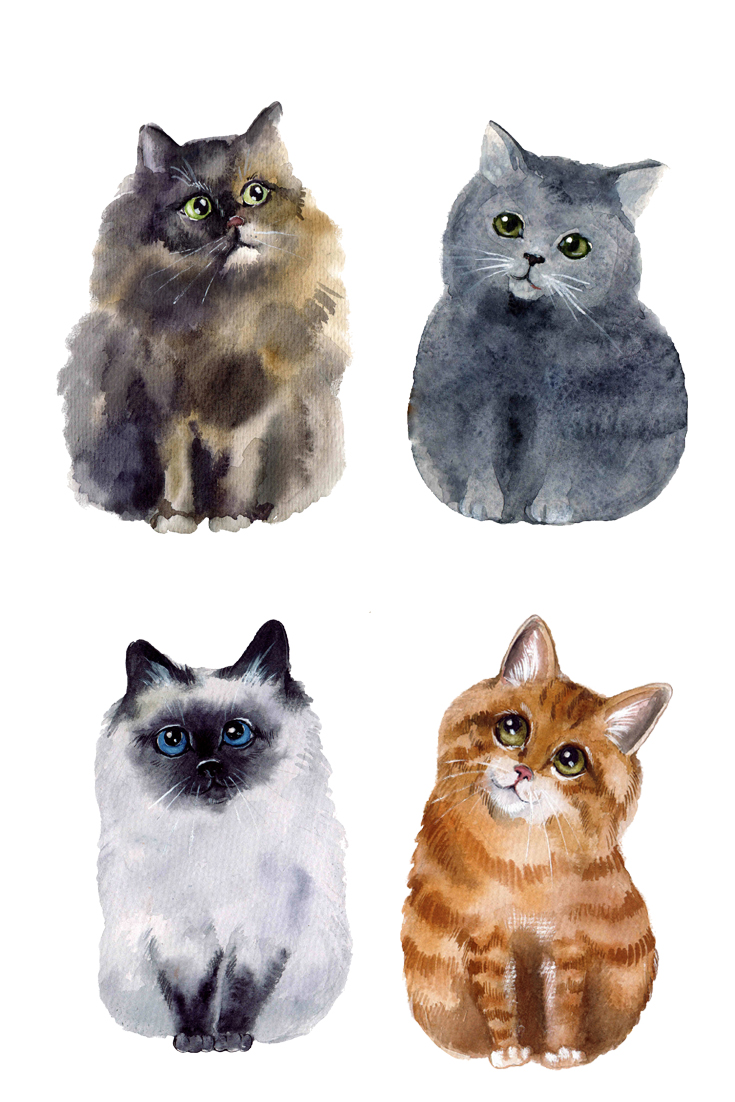 Watercolor Clipart. Cat Clipart. Digital pets clipart. Poste - Inspire ...