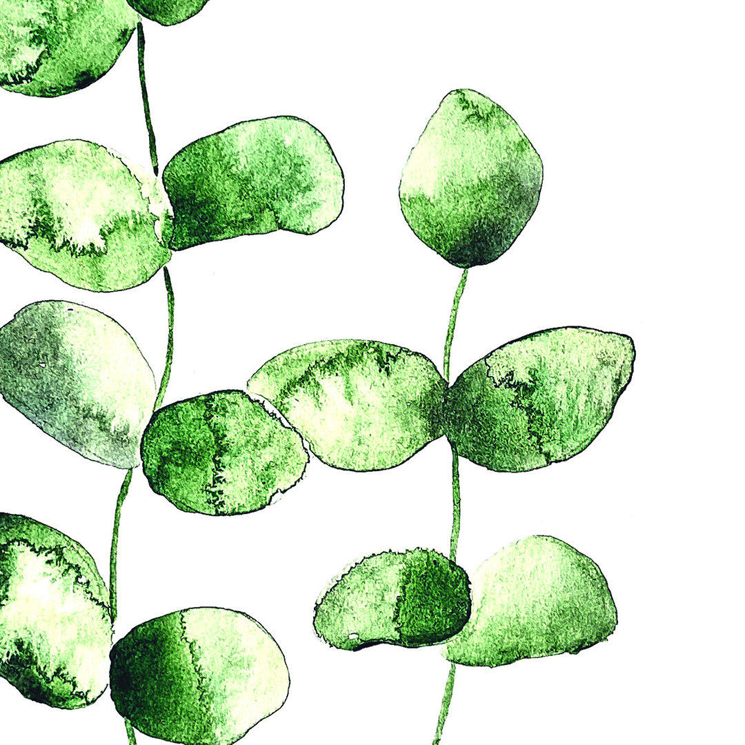 Set of 4 Botanical Print Set, Plant Posters, Greenery Prints - Inspire ...