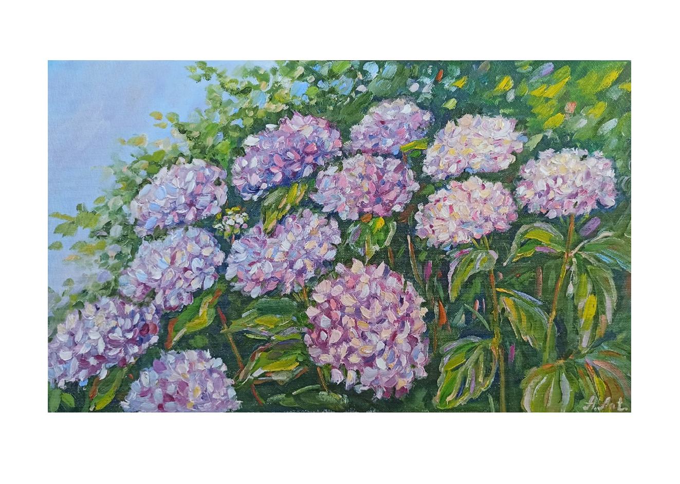 Hydrangea Oil Painting Original Art Flower Artwork Floral Wa - Inspire ...