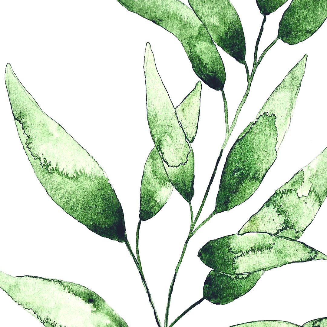 Set of 6 Botanical Print Set, Plant Posters, Greenery Prints - Inspire ...