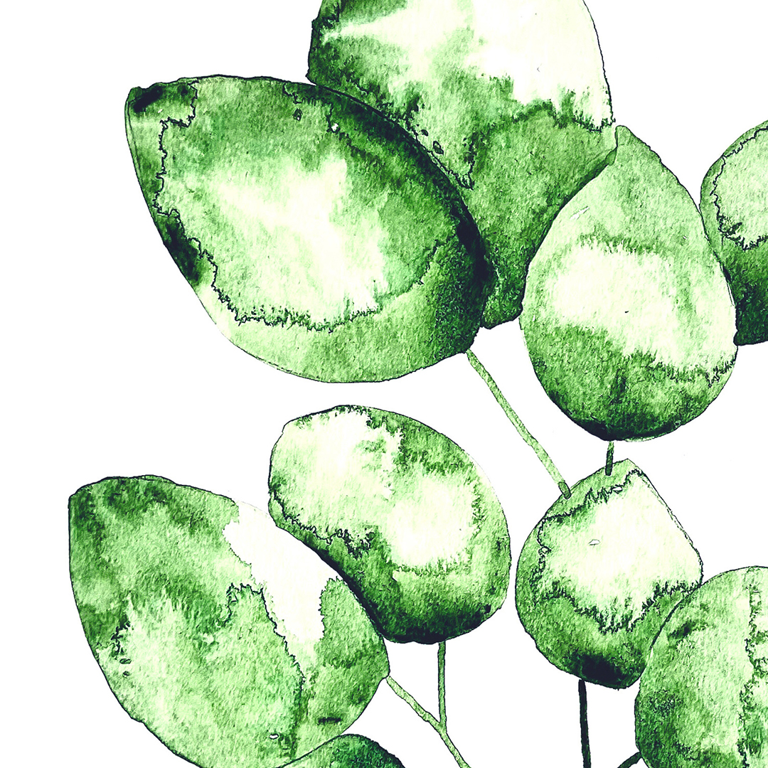 Set of 6 Botanical Print Set, Plant Posters, Greenery Prints - Inspire ...