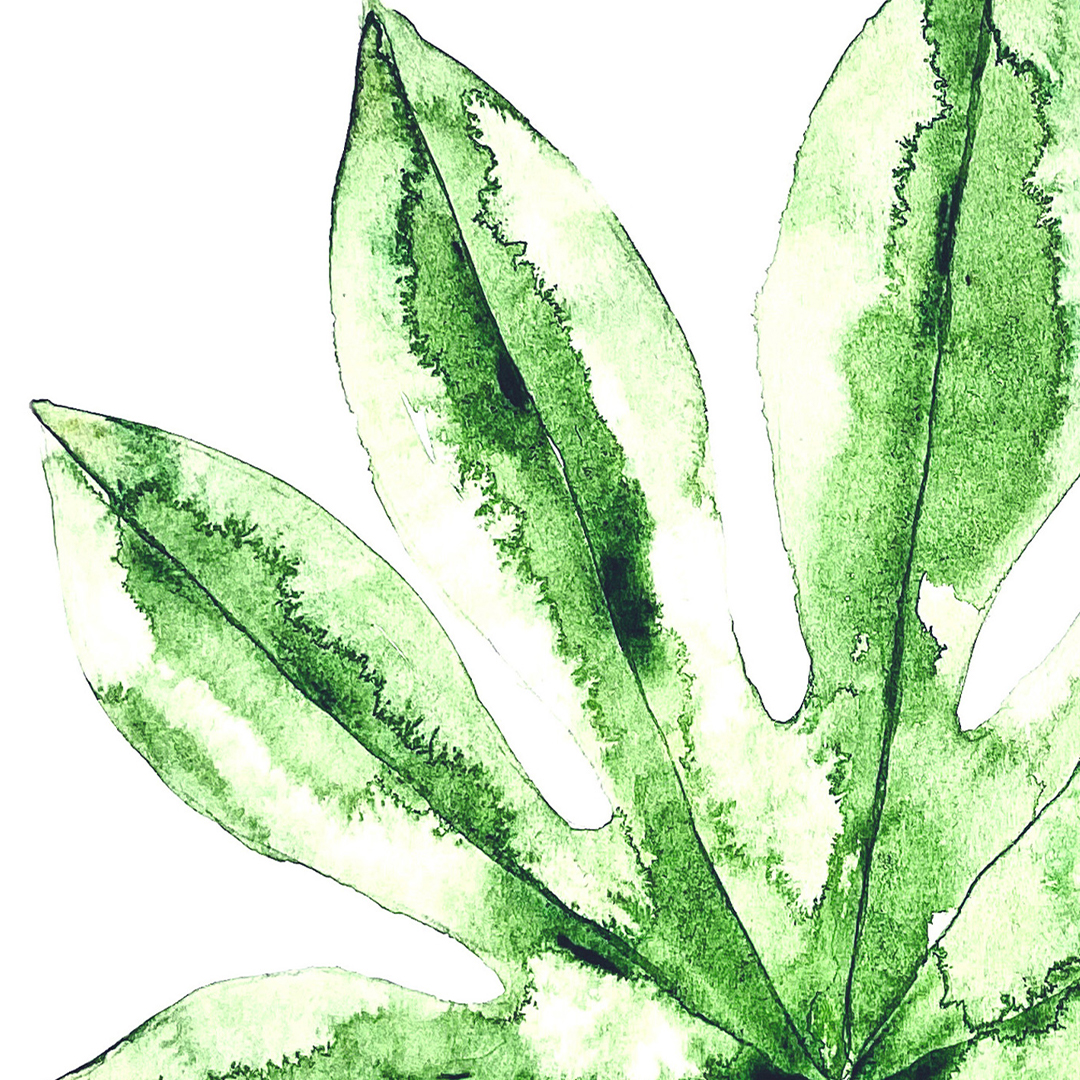 Set of 6 Botanical Print Set, Plant Posters, Greenery Prints - Inspire ...