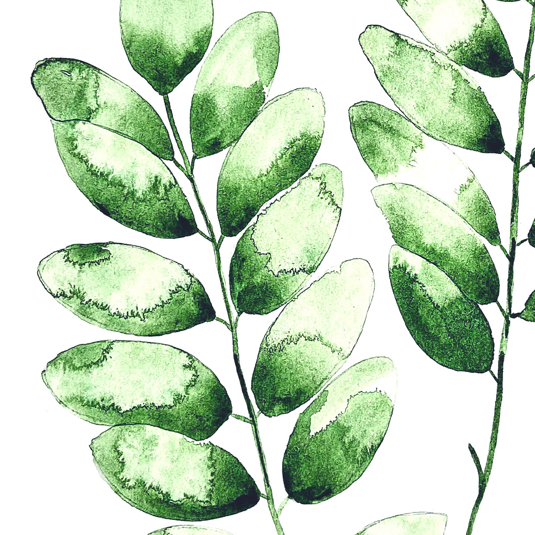 Set of 6 Botanical Print Set, Plant Posters, Greenery Prints - Inspire ...