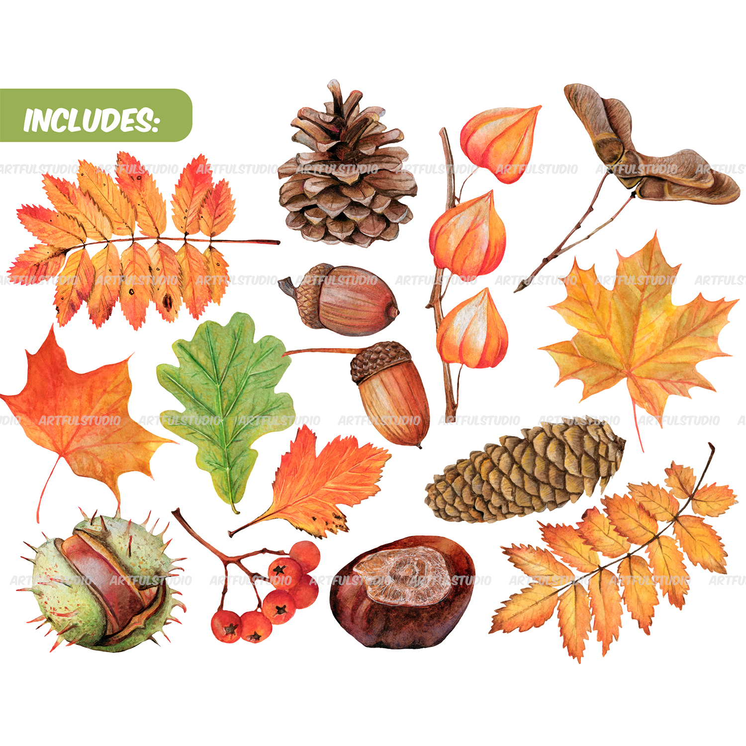 Watercolor autumn forest clipart - Autumn woodland PNG - Inspire Uplift