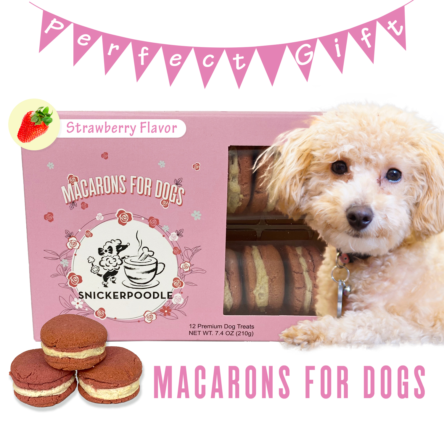 Strawberry Dog Macarons | Inspire Uplift