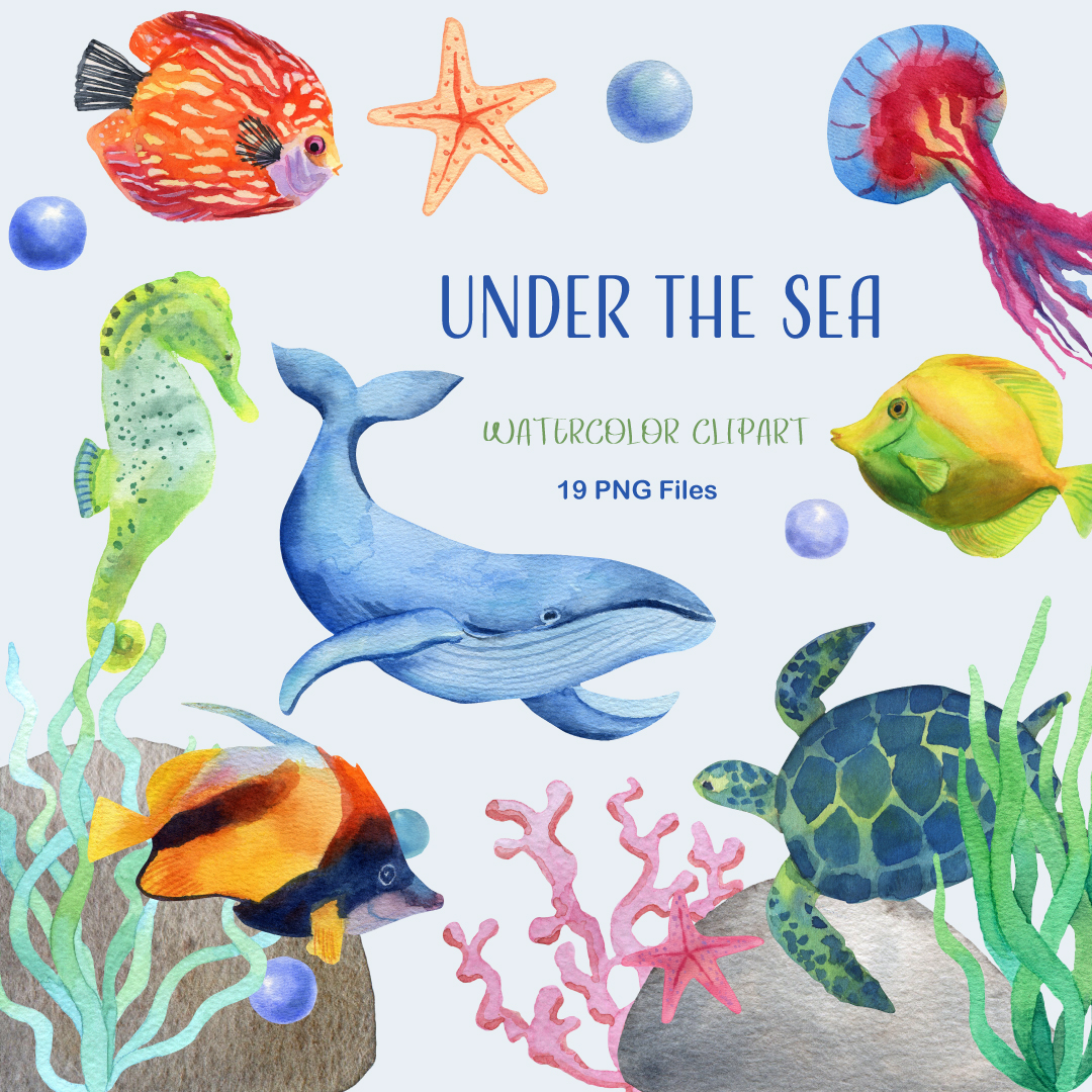 Sea Animals Watercolor clipart Dolphin PNG Ocean turtle Fish - Inspire ...
