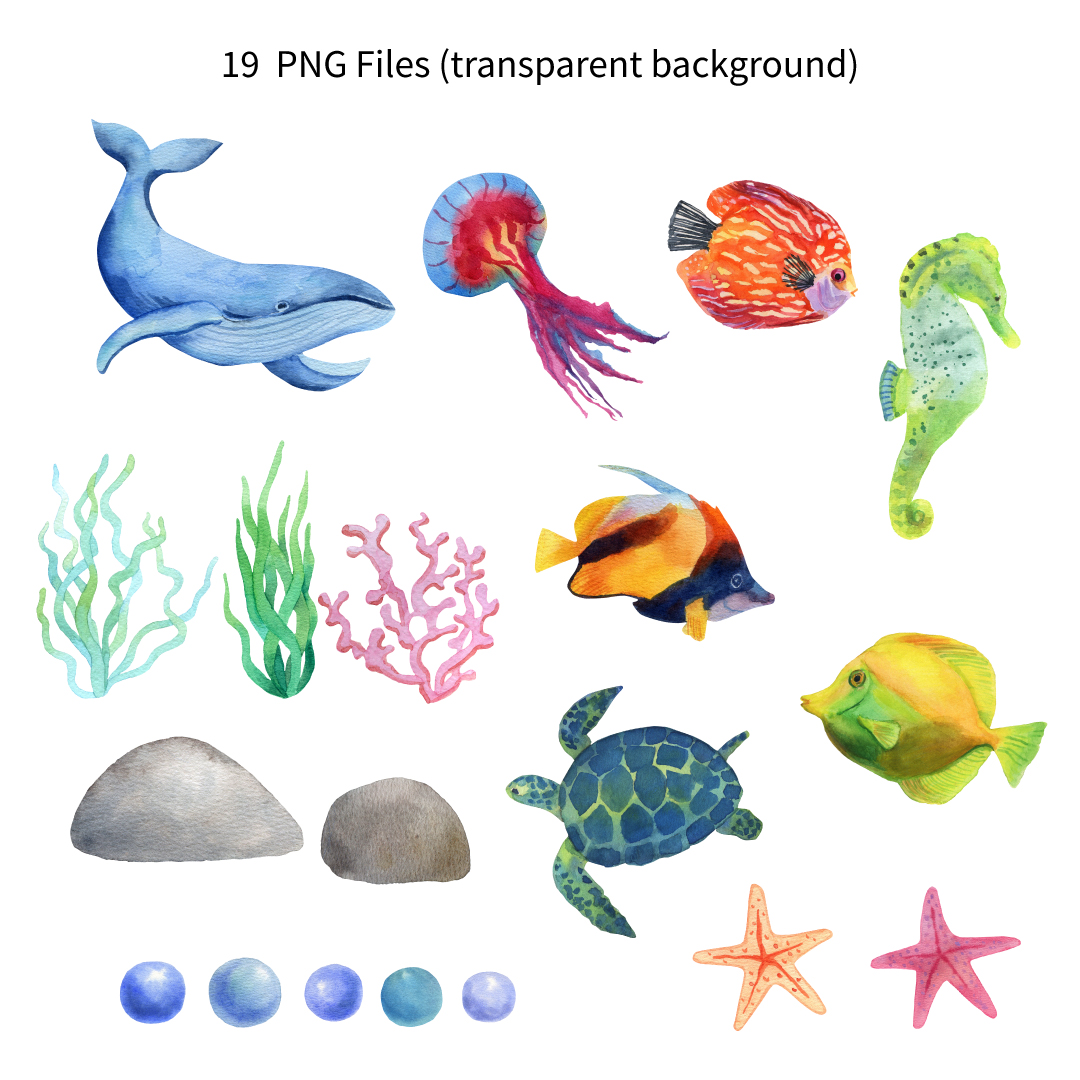 Sea Animals Watercolor clipart Dolphin PNG Ocean turtle Fish - Inspire ...