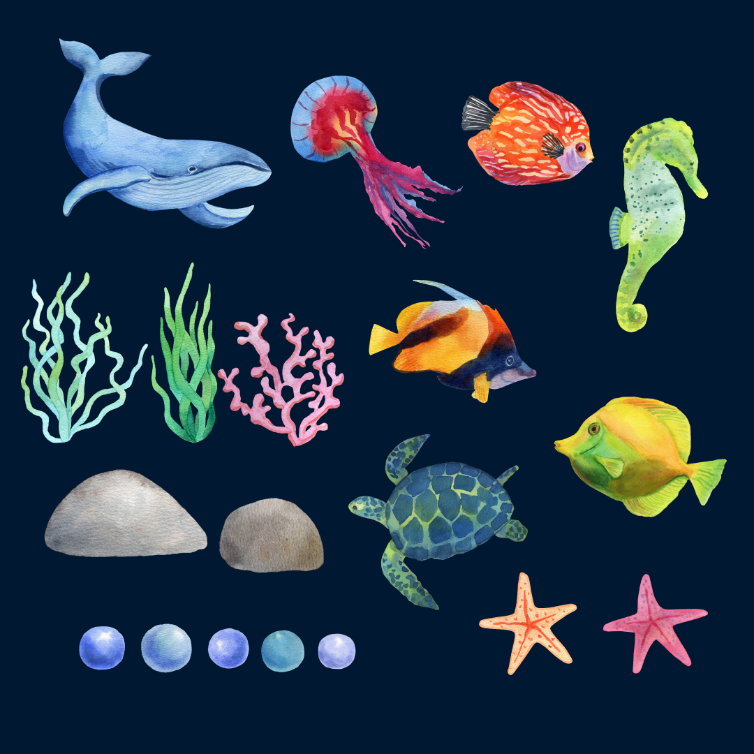 Sea Animals Watercolor clipart Dolphin PNG Ocean turtle Fish - Inspire ...