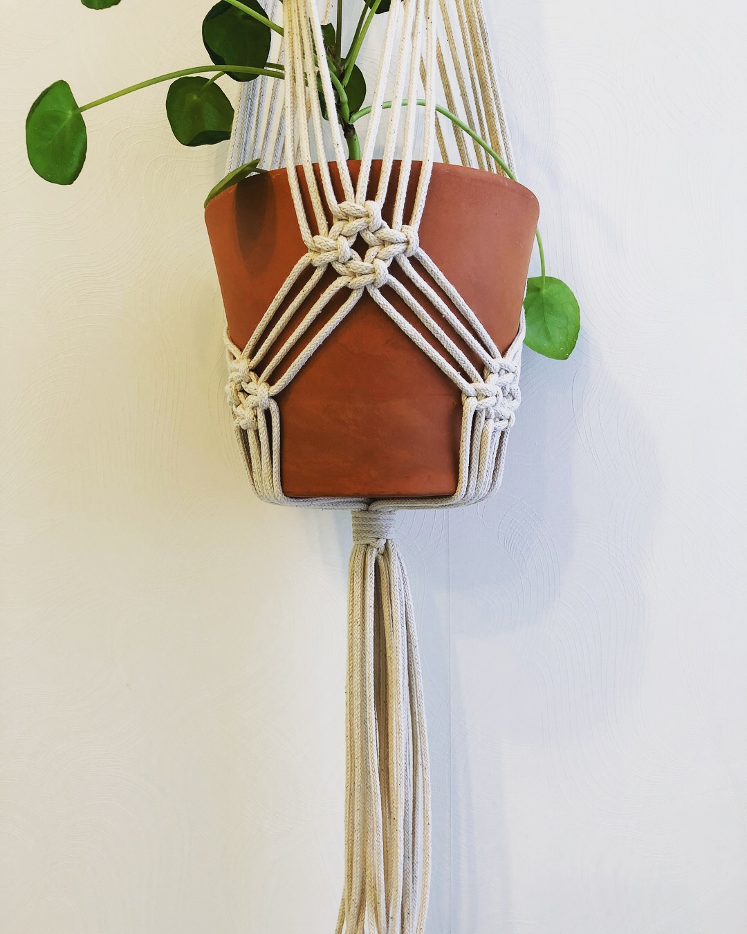 Macrame Plant Hanger, Macrame Cotton Boho Planter, Hygge Mac - Inspire ...
