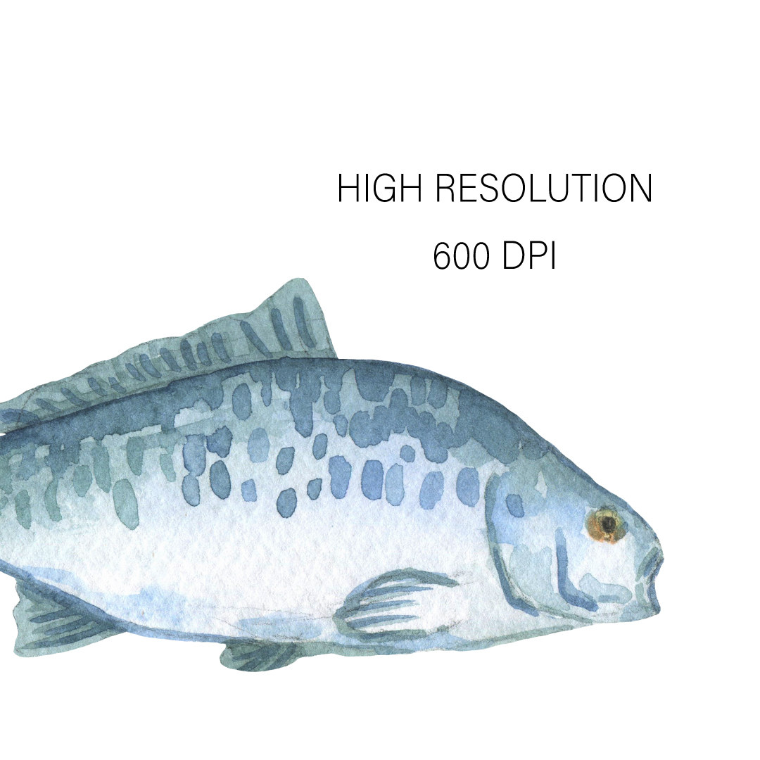 Fishing Watercolor Clipart River Fish Png Fisherman in boat - Inspire ...