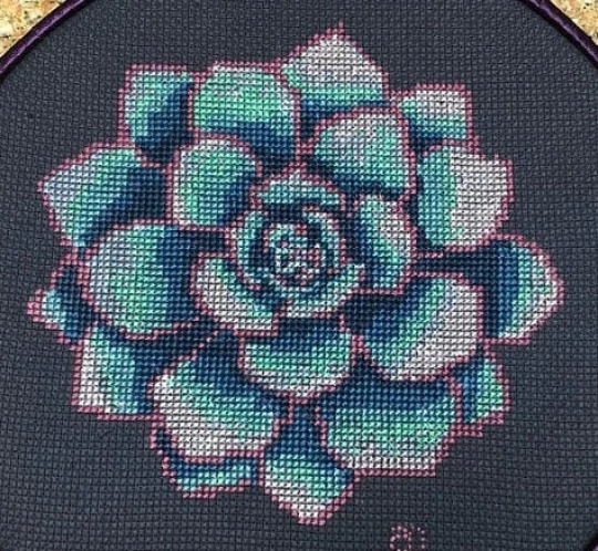 Succulent cross stitch pattern PDF, Botanical cross stitch - Inspire Uplift