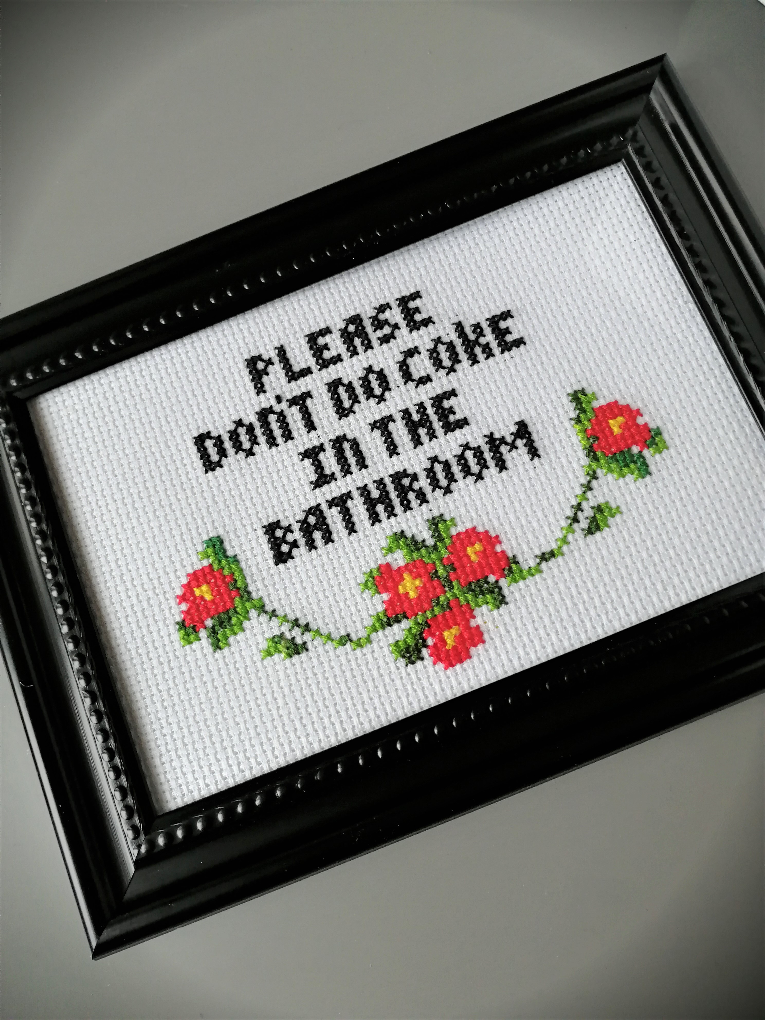 Please Don't Do Coke in the Bathroom Framed Cross Stitch - Inspire Uplift