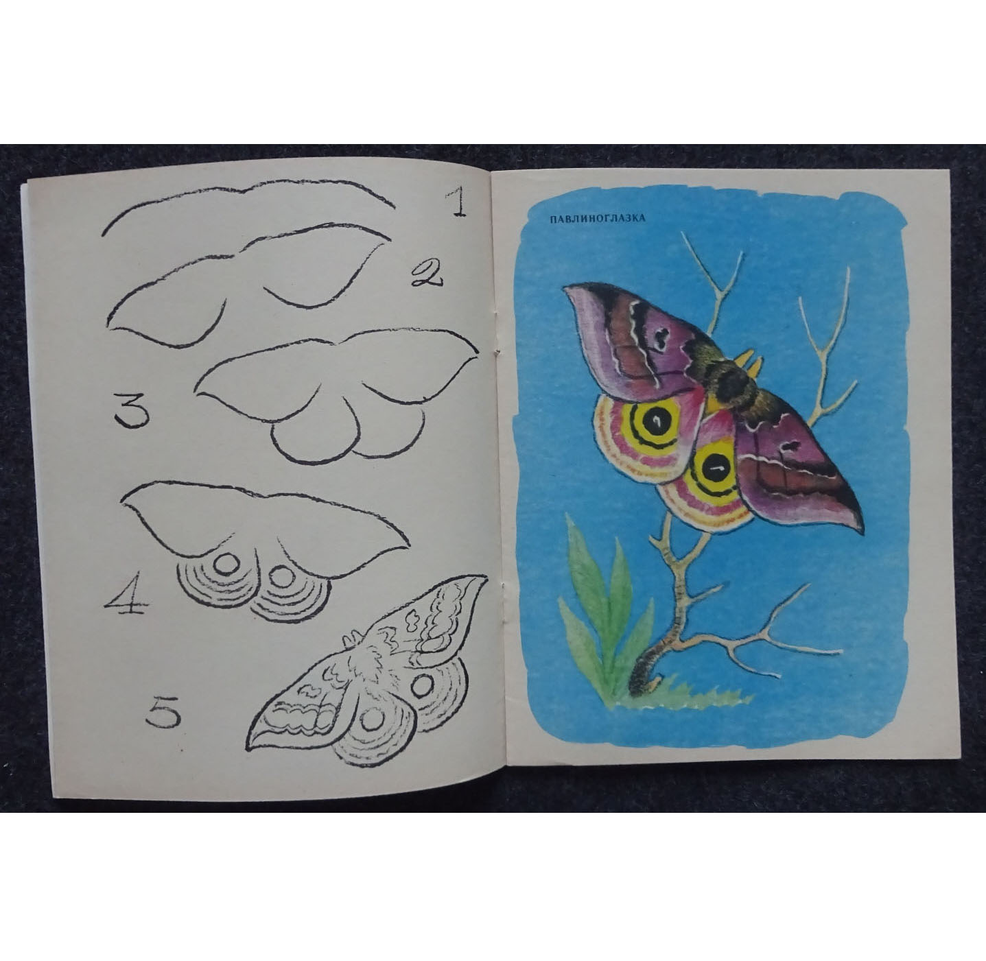 Draw and paint. Coloring book Rare 1984 Literature Soviet ch - Inspire ...