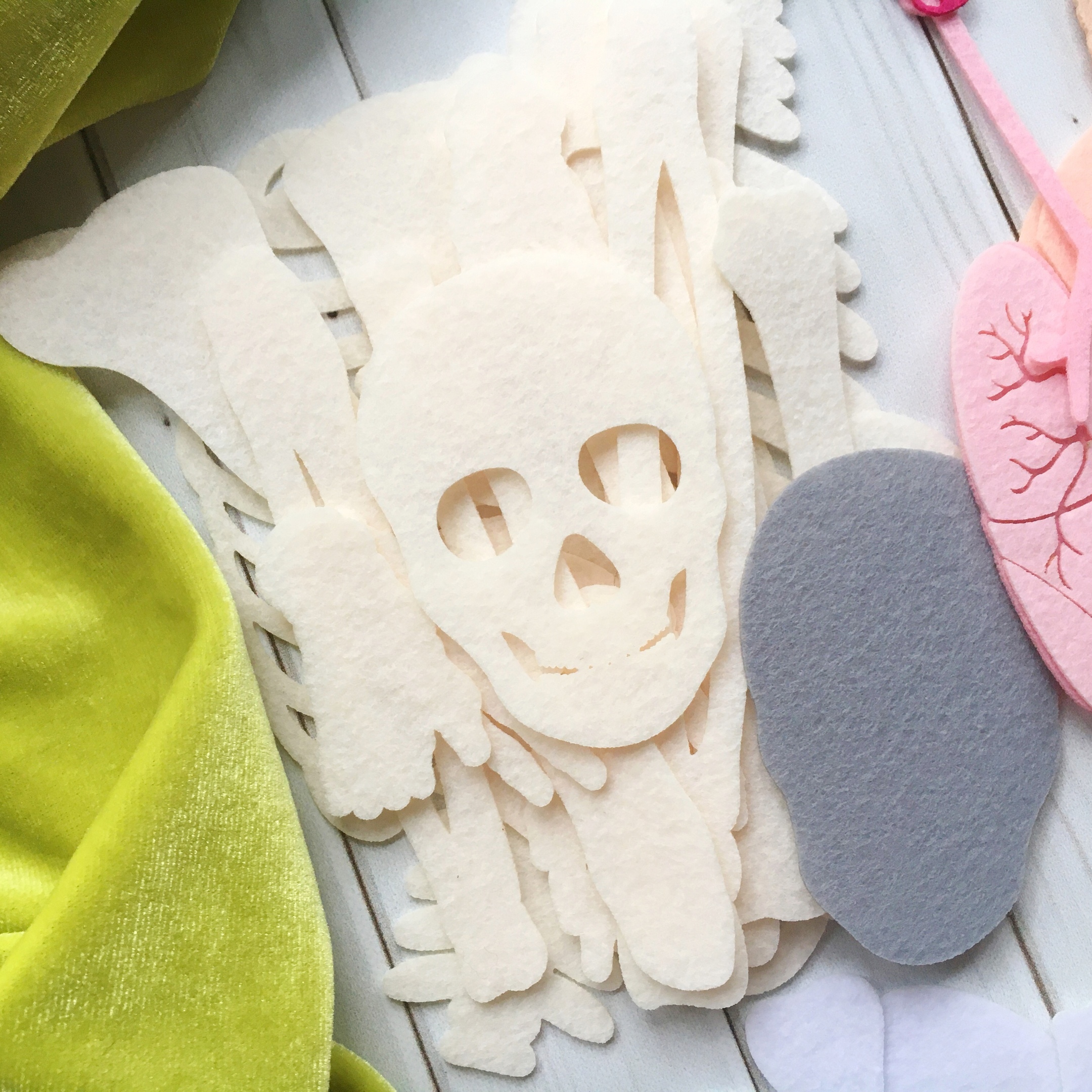 HUMAN ANATOMY, Anatomy board (skeleton and organs, Laser cut - Inspire ...