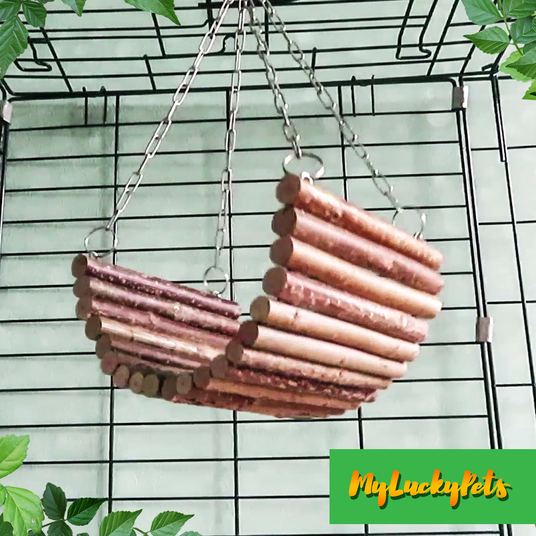 Hideout hamster, hedgehog, gerbil. A bridge for rats, degus - Inspire ...