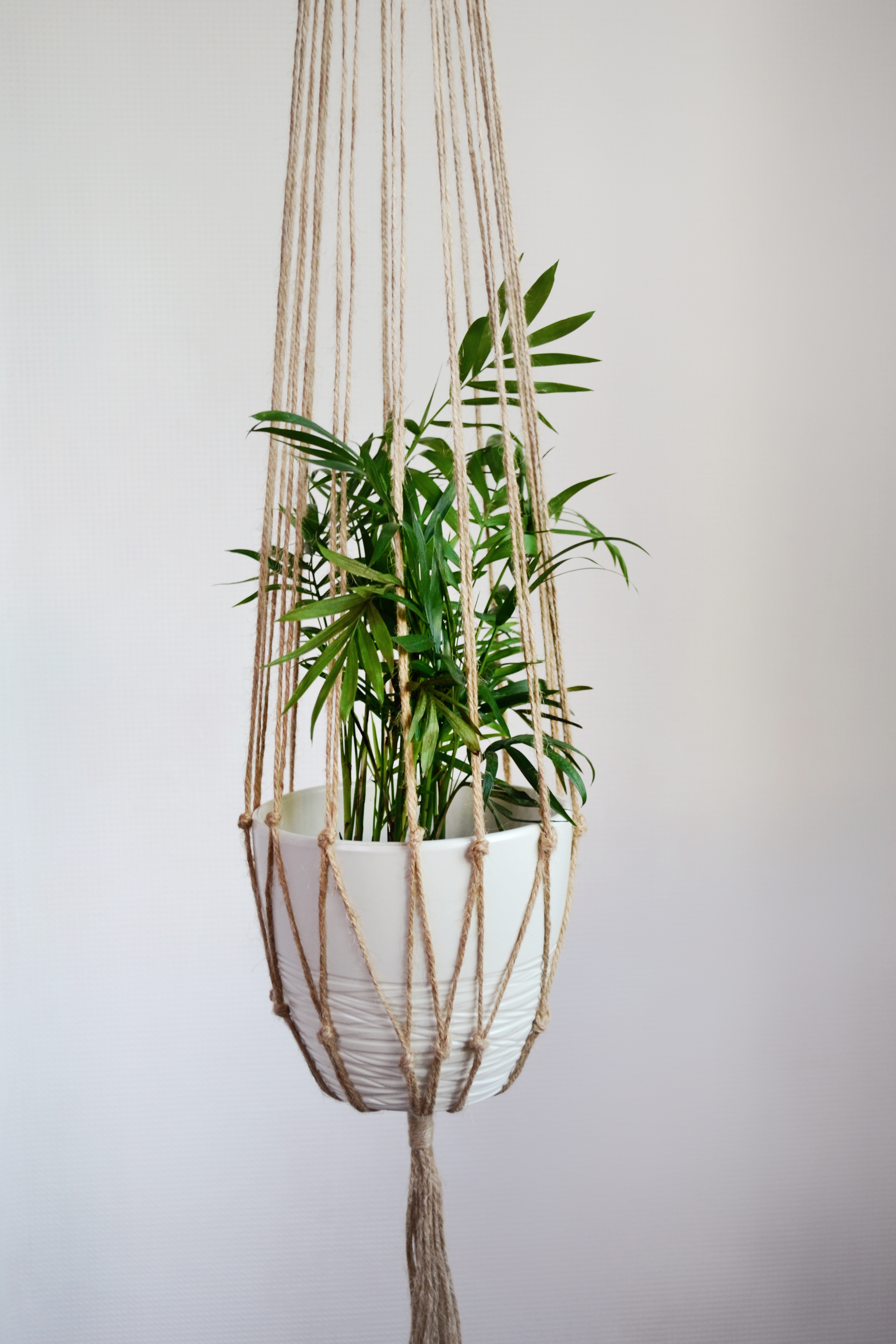Macrame plant hanger , Jute plant holder - Inspire Uplift