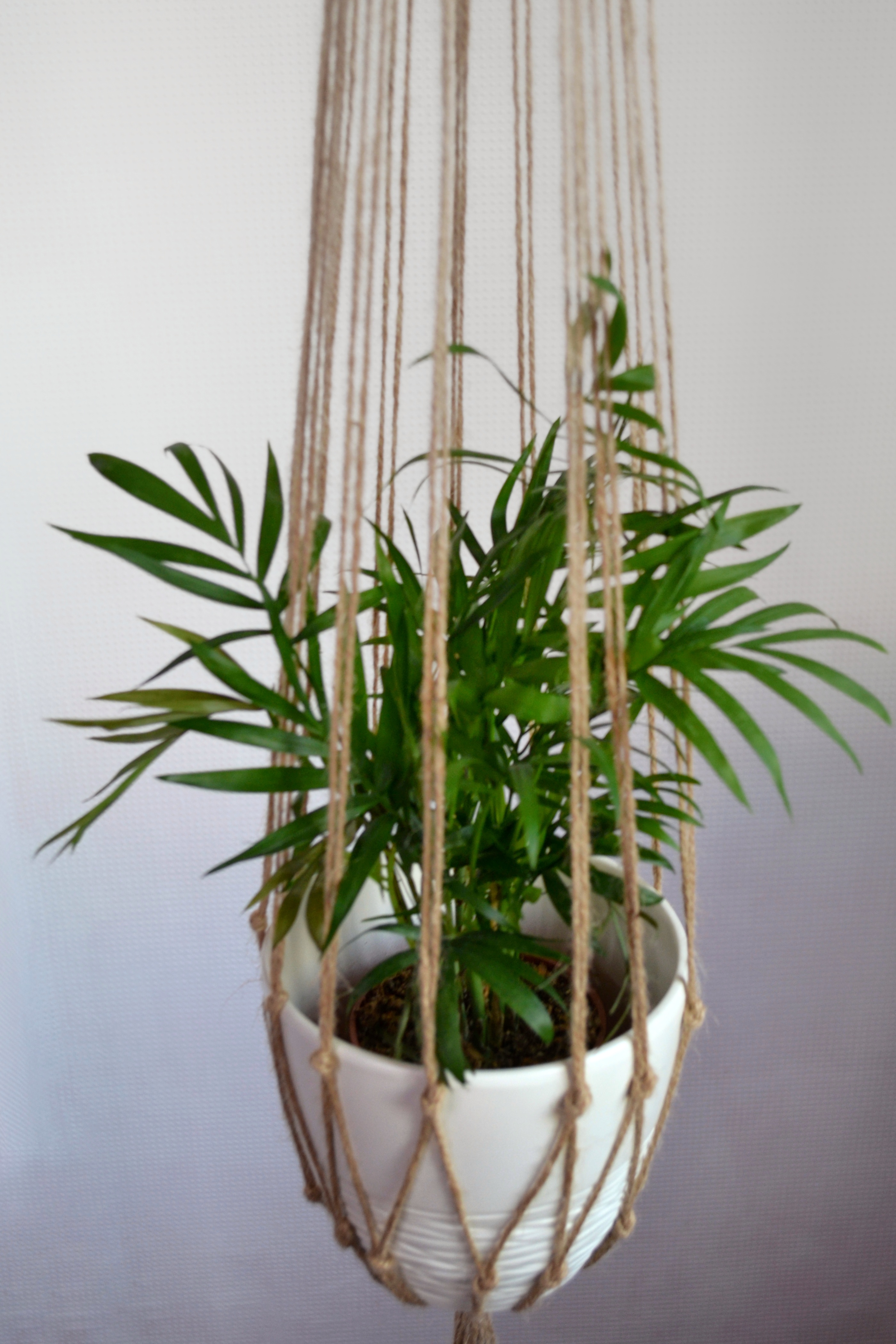 Macrame plant hanger , Jute plant holder - Inspire Uplift