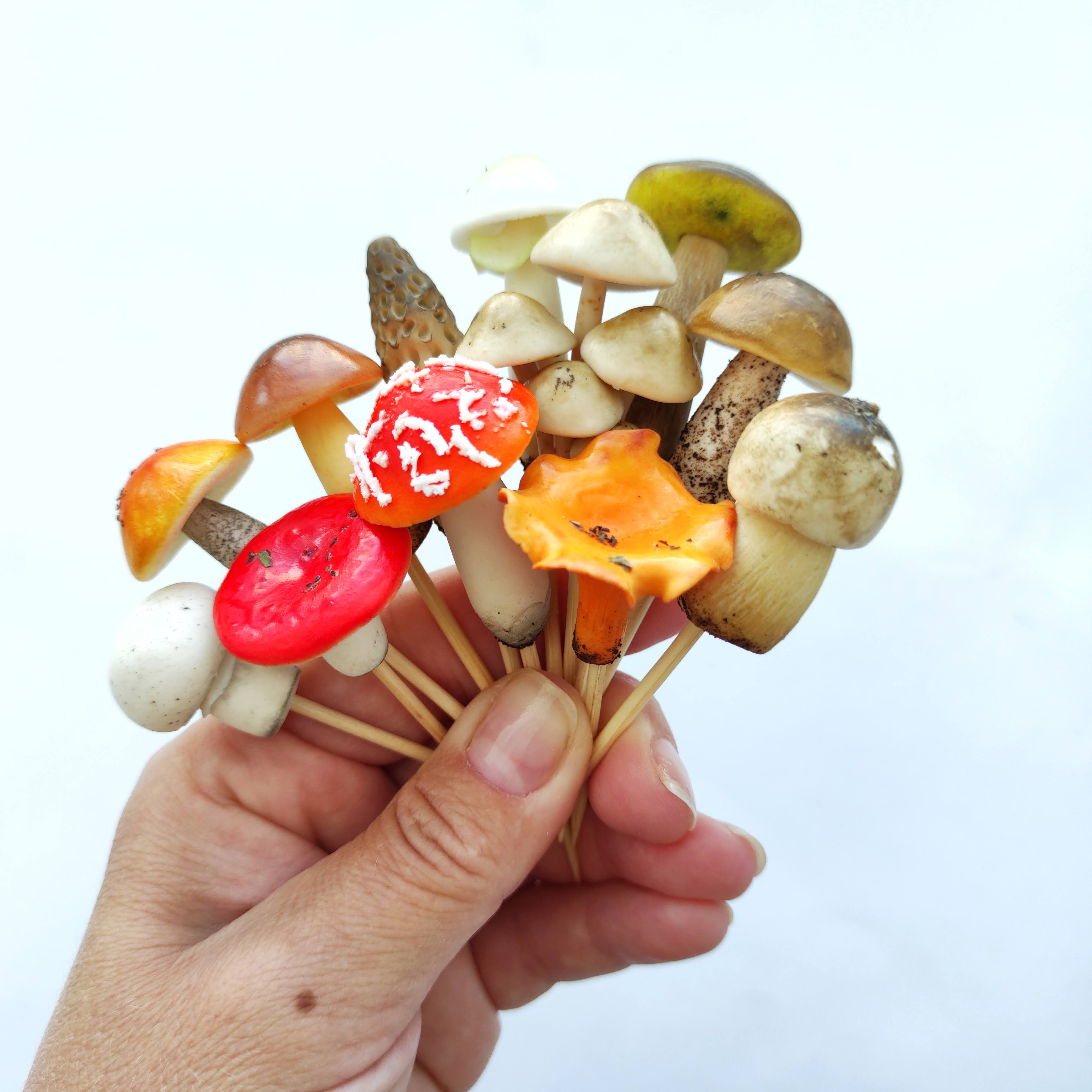 Terrarium decor kit - Set 12 pc realistic mushrooms - Polyme - Inspire ...