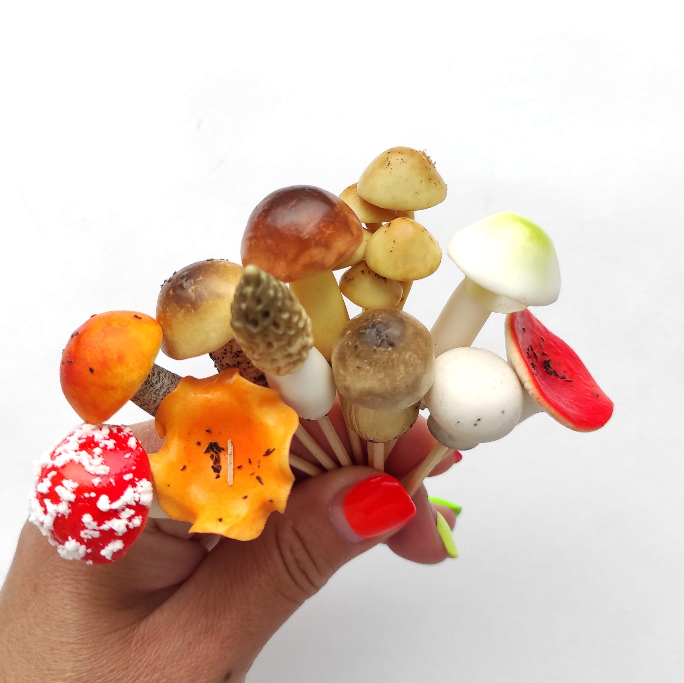 Set 11 pc realistic mushrooms - Terrarium decor kit - Plant - Inspire ...