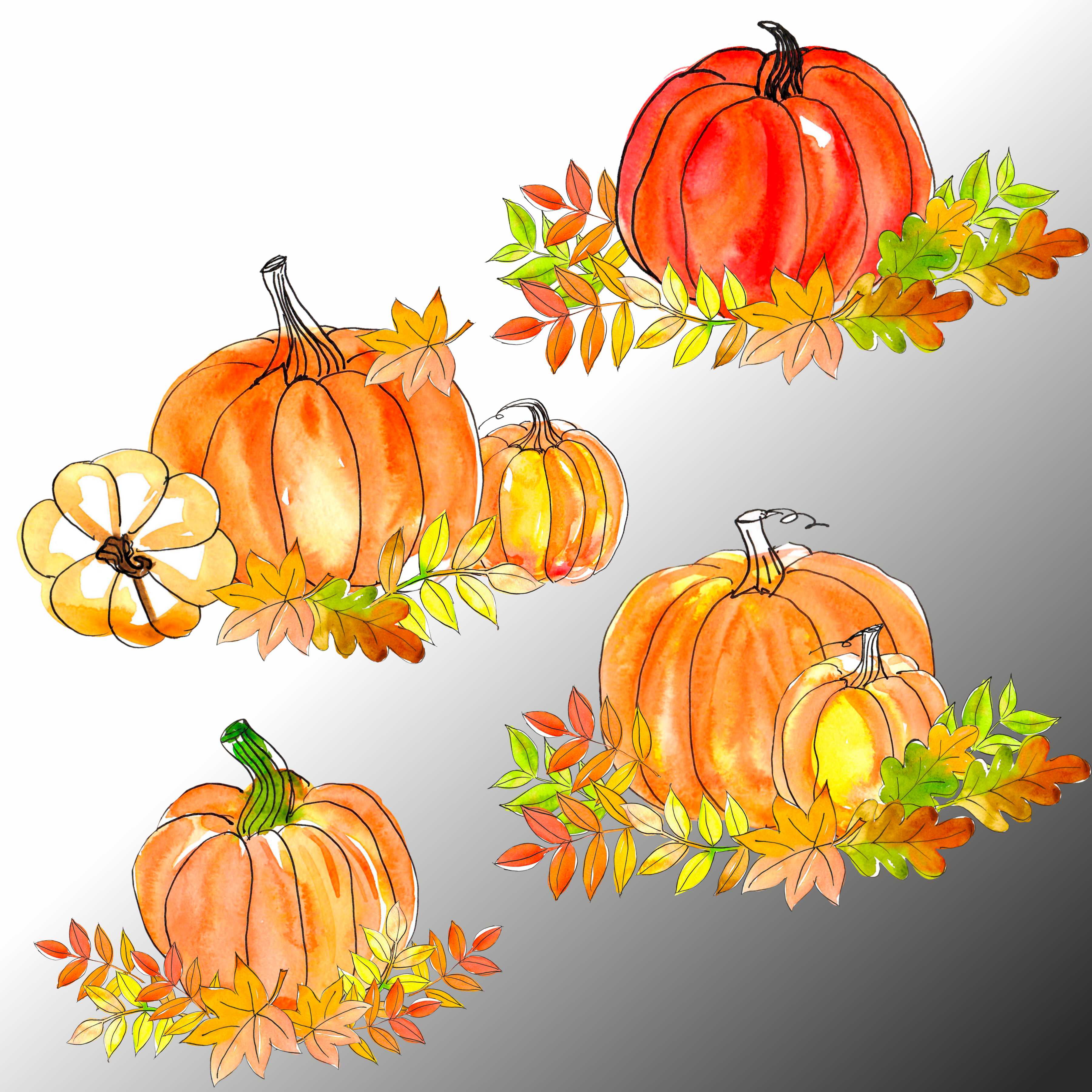 Watercolor Pumpkin Clipart, Autumn Pumpkins, Fall Clipart, P - Inspire ...