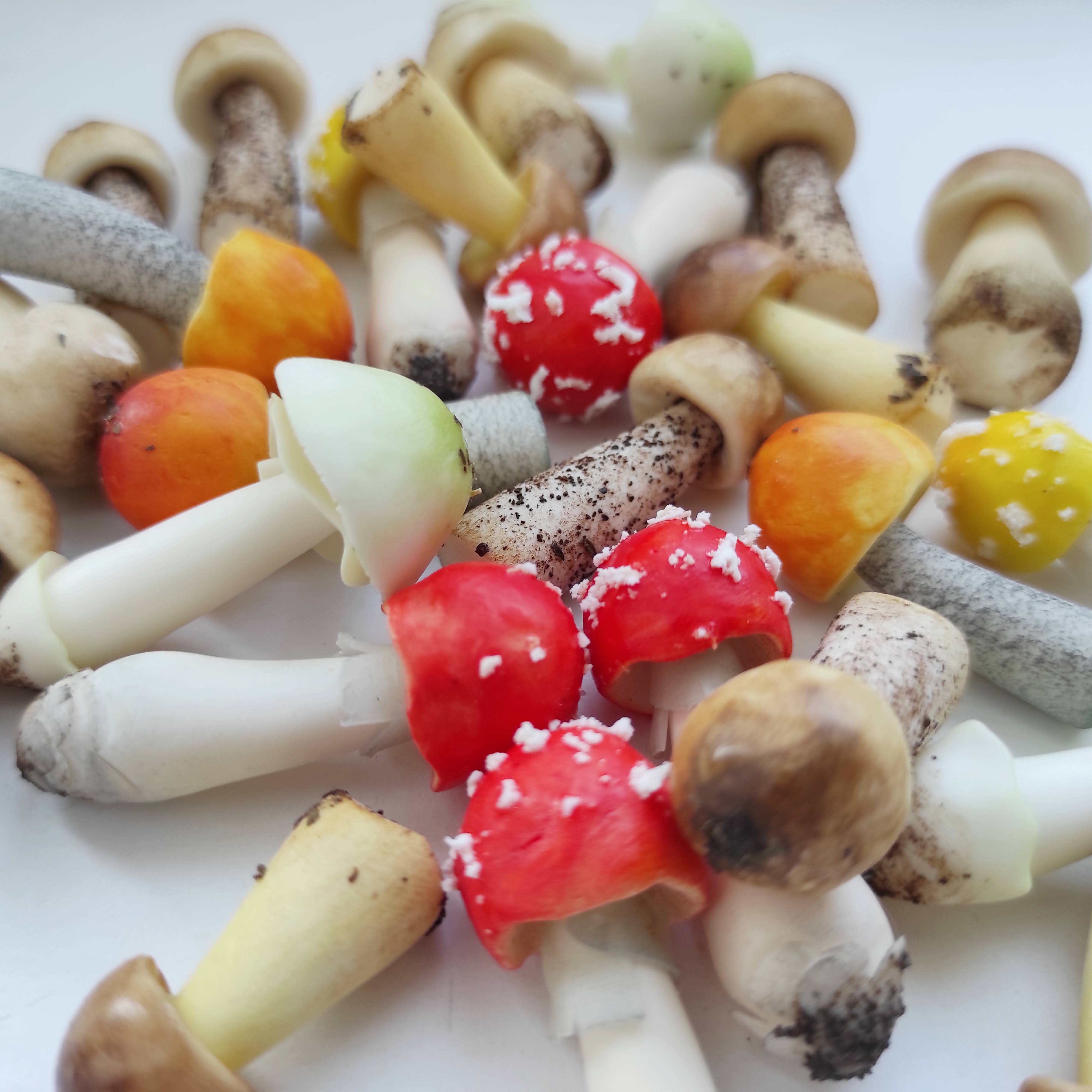 Set 7 pc realistic mushrooms Terrarium decor kit Tiny mushro | Inspire ...