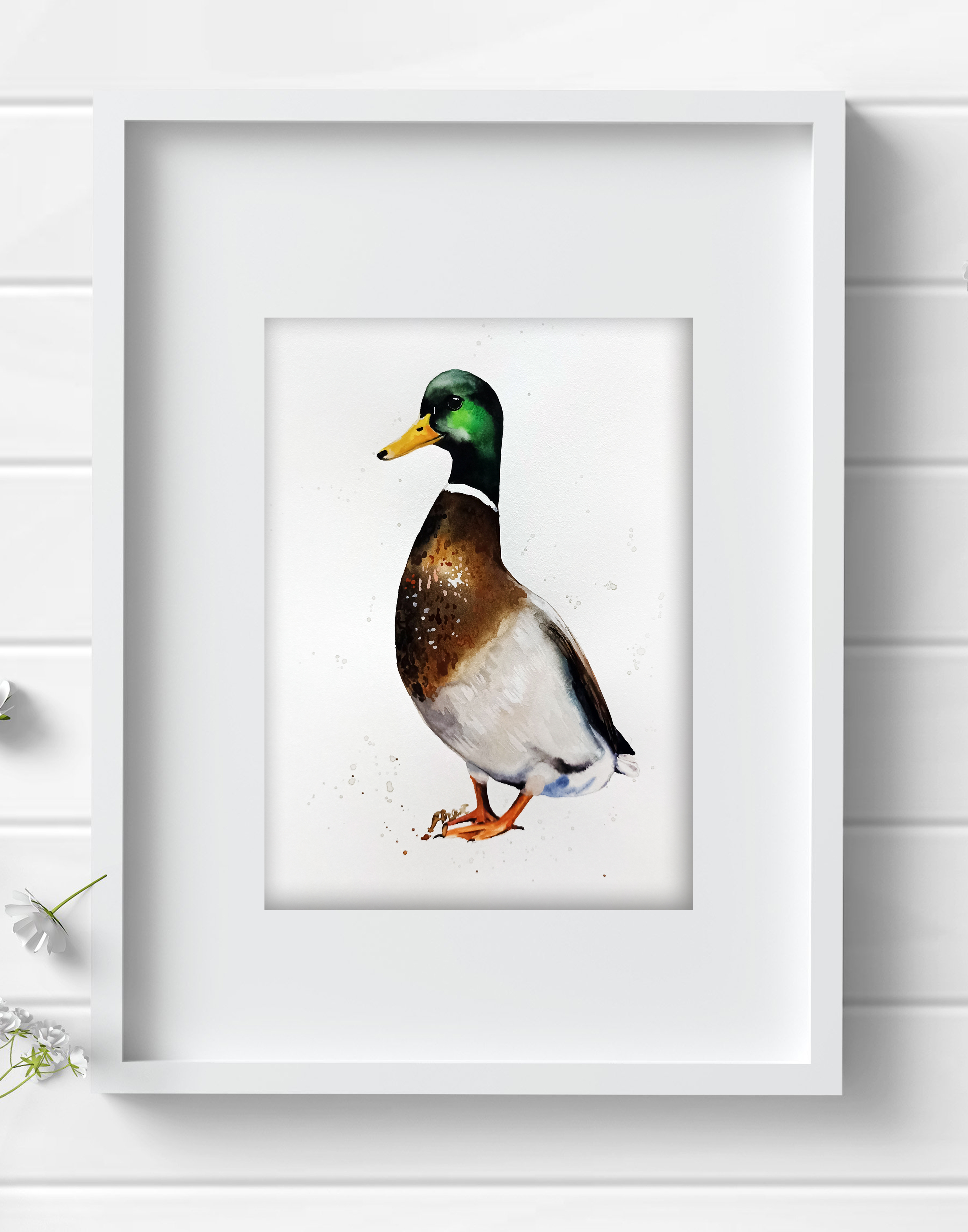 8x11 inch Watercolor original drake bird wall decor painting - Inspire ...