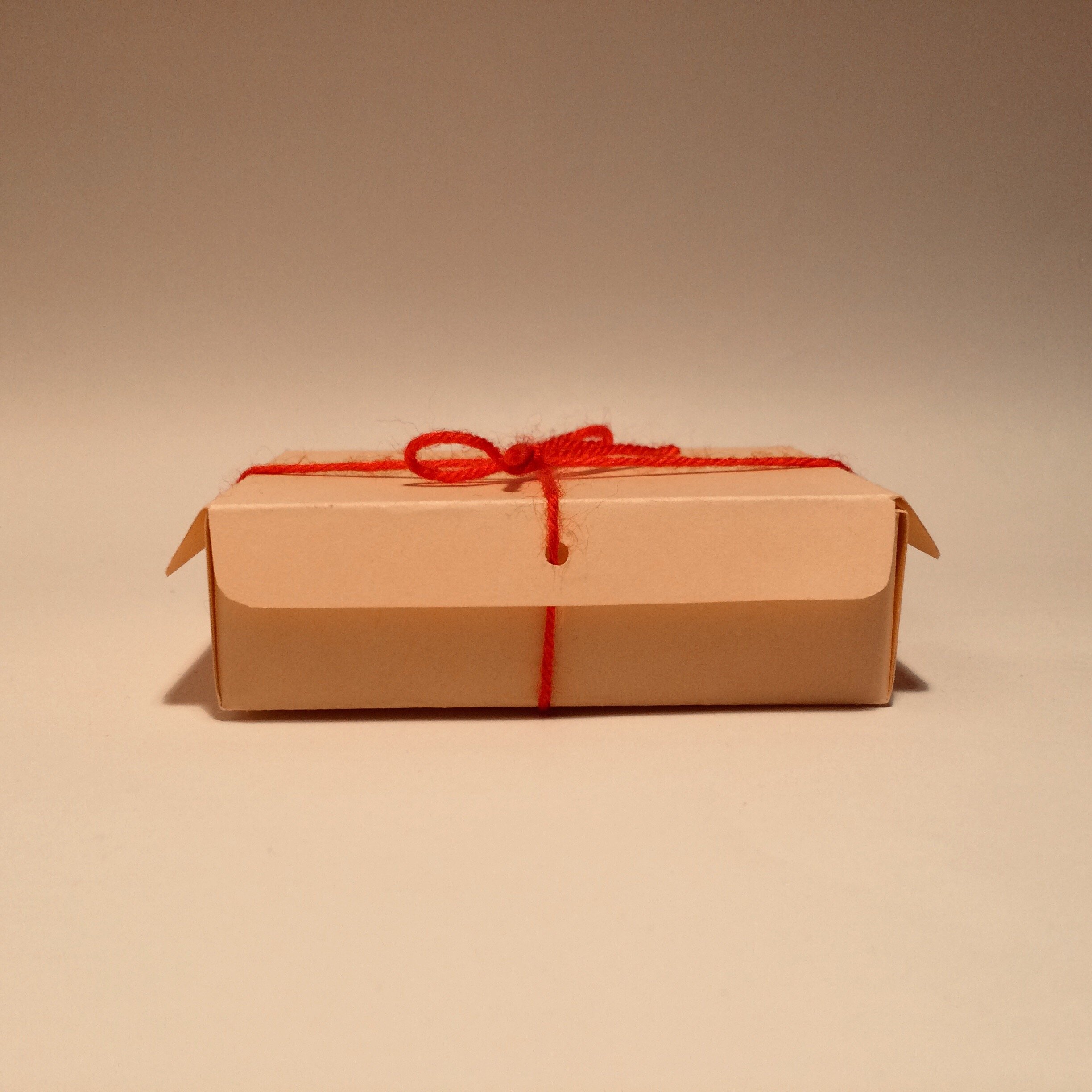 Shoes box template, shoes storage box, corrugated box, paper - Inspire ...