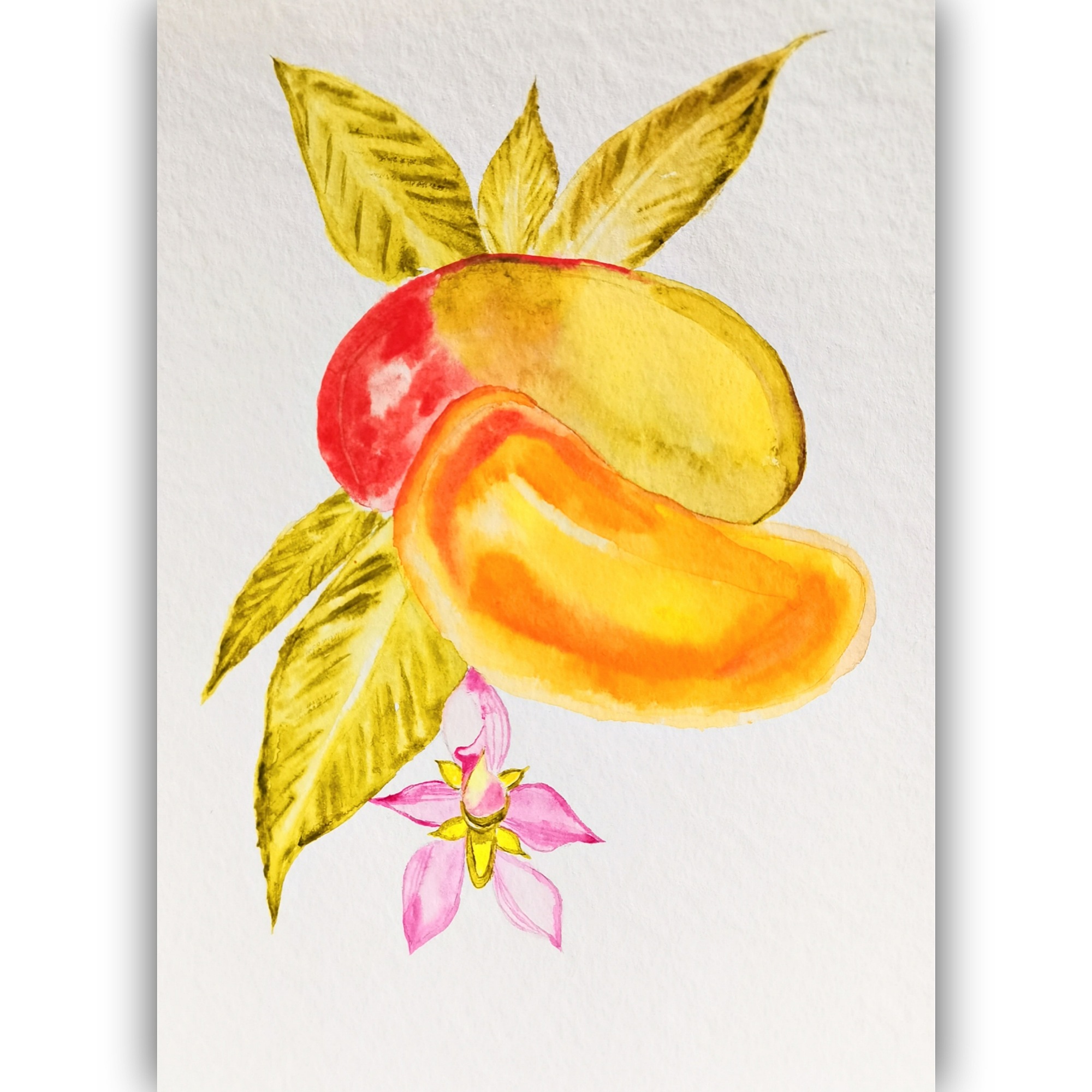 Mango Painting Fruit Original Art Food Wall Art Watercolor - Inspire Uplift