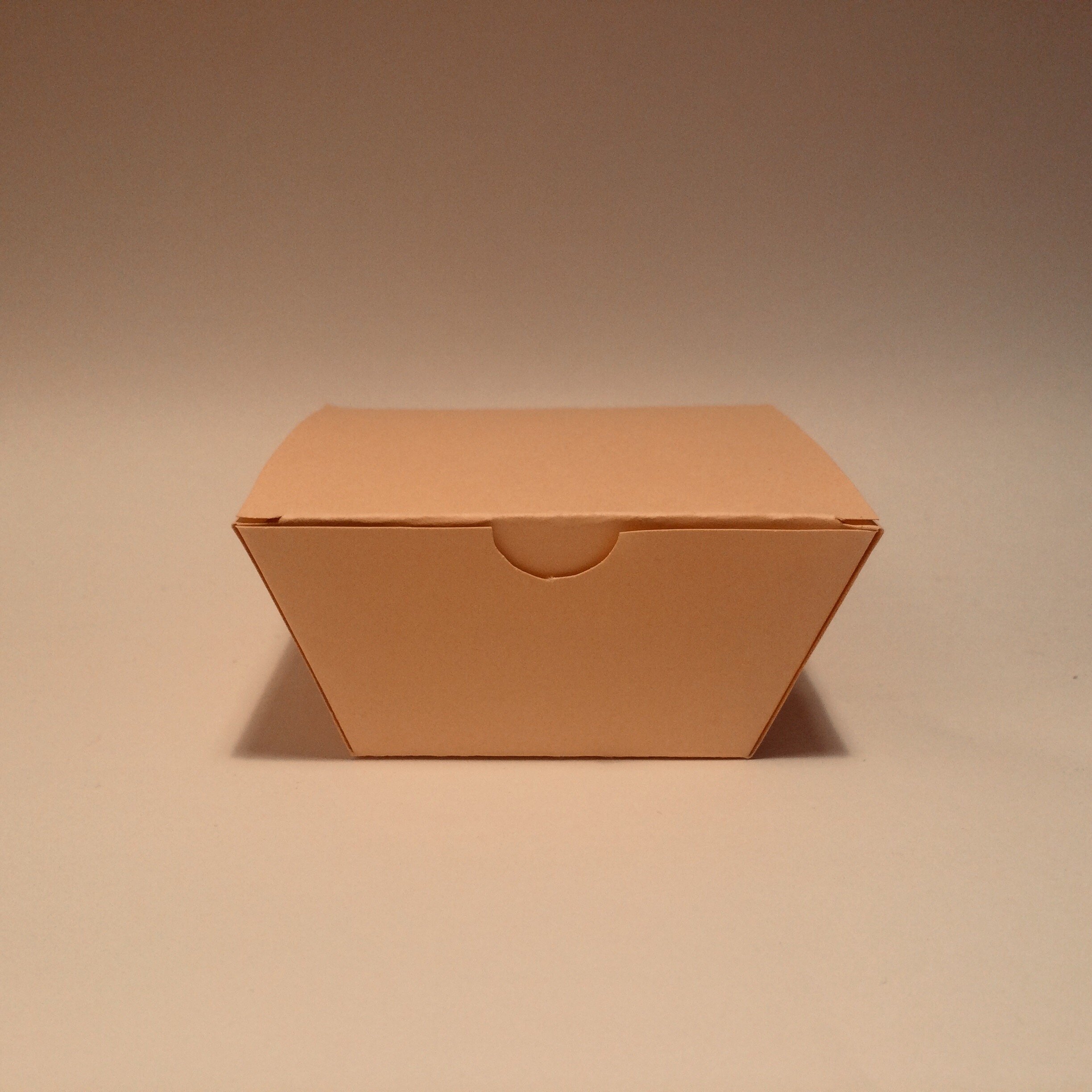 Take away box template, takeaway box, take away container, t - Inspire ...