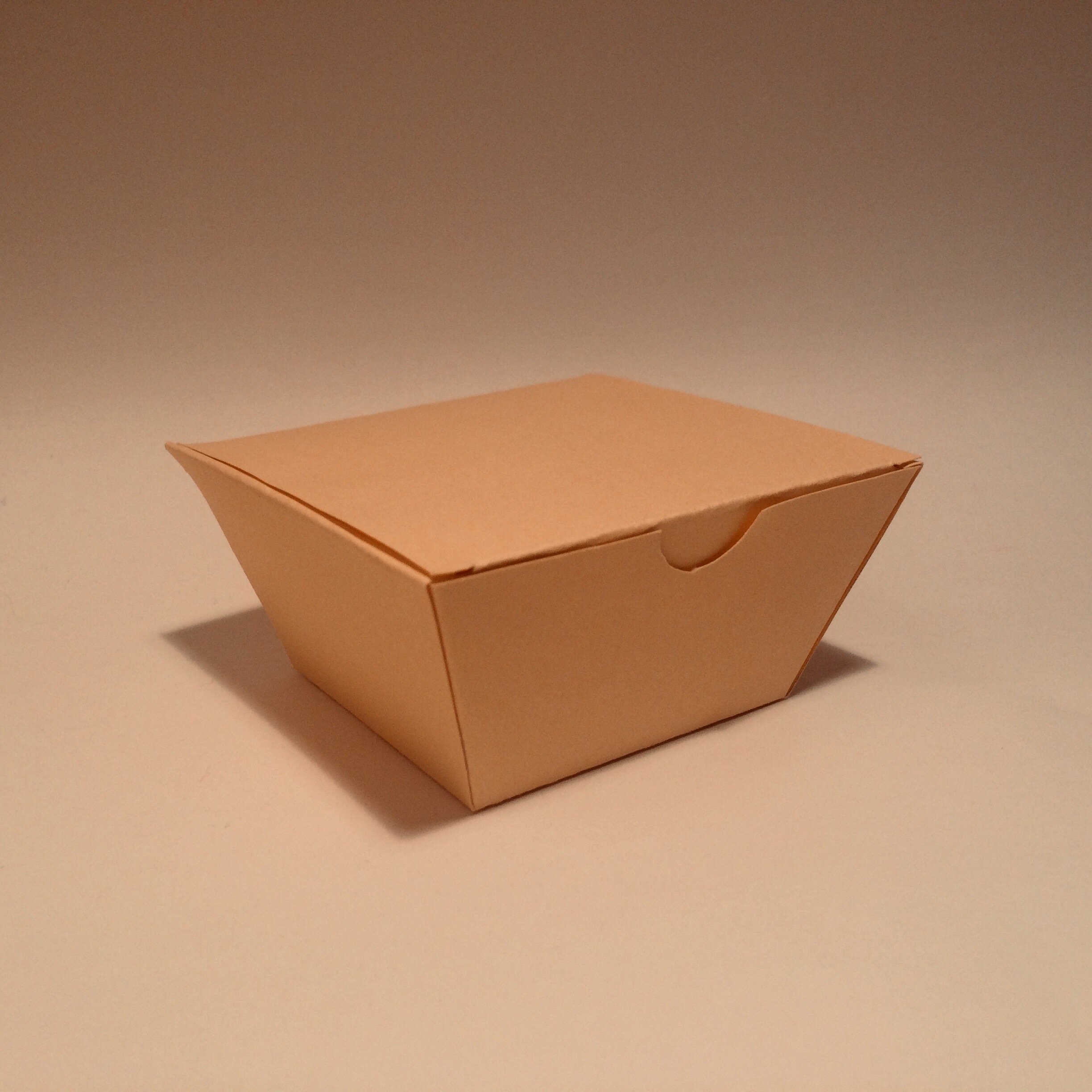 Take away box template, takeaway box, take away container, t - Inspire ...