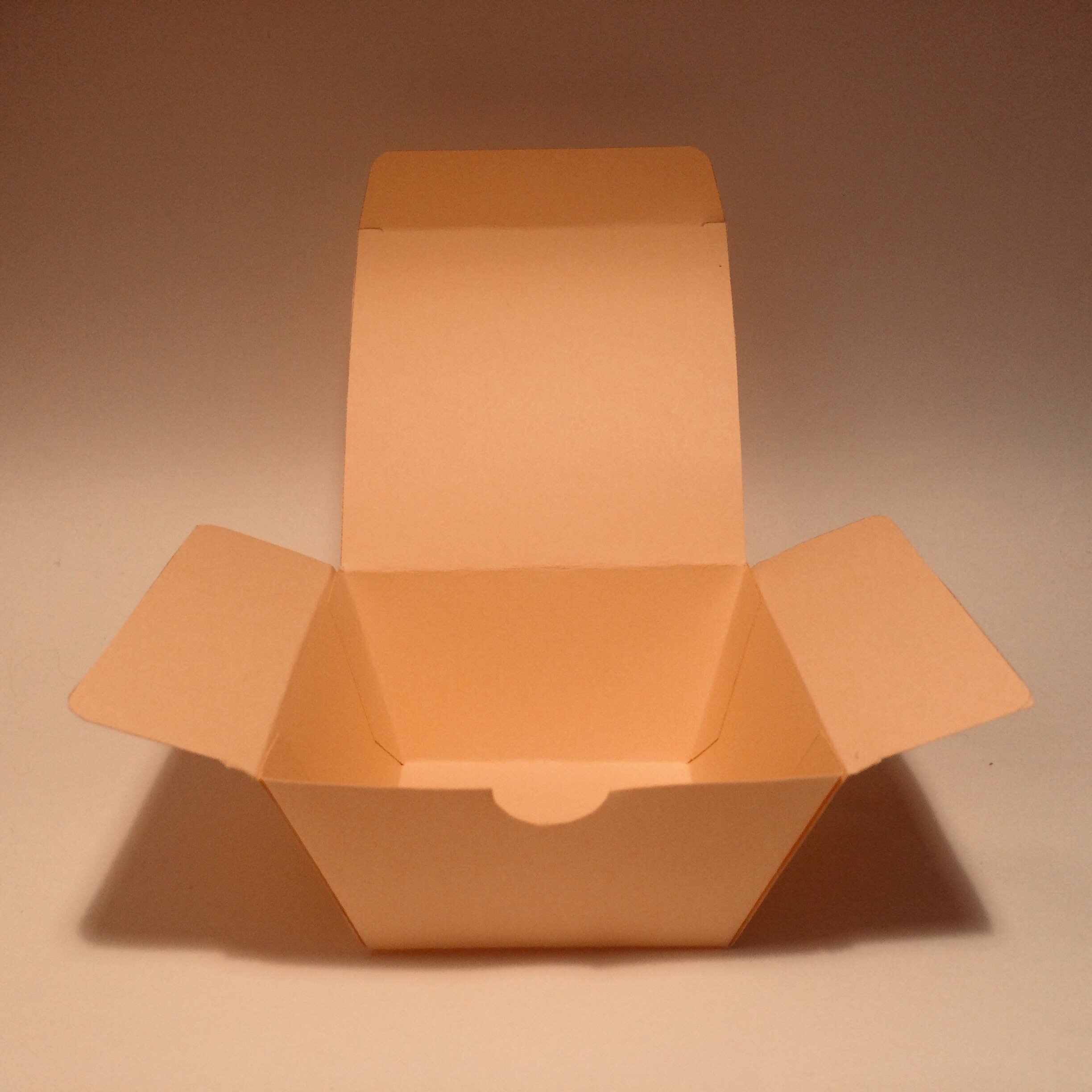 Take away box template, takeaway box, take away container, t - Inspire ...