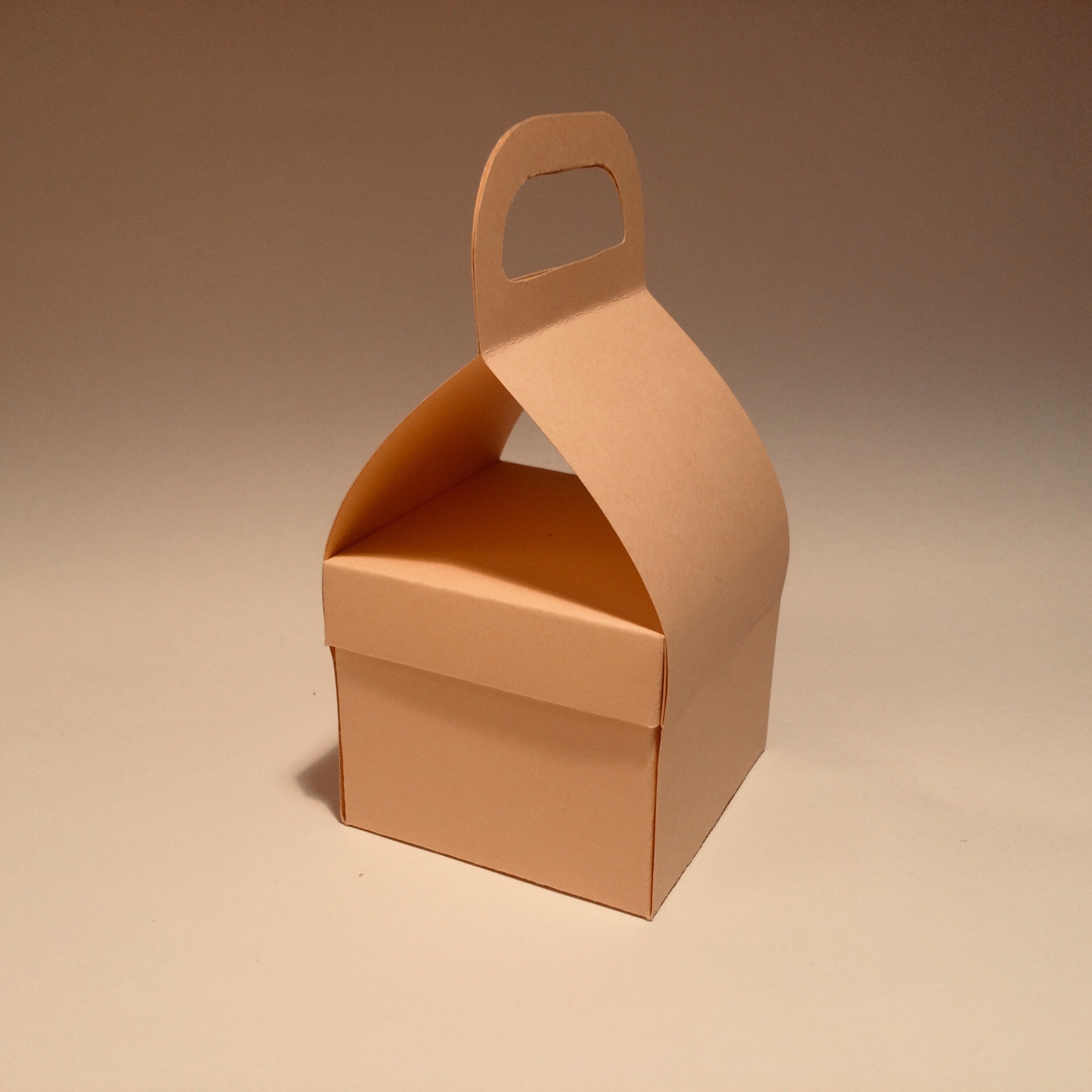 Take out bag, take out box template, takeout box, paper bag, - Inspire ...