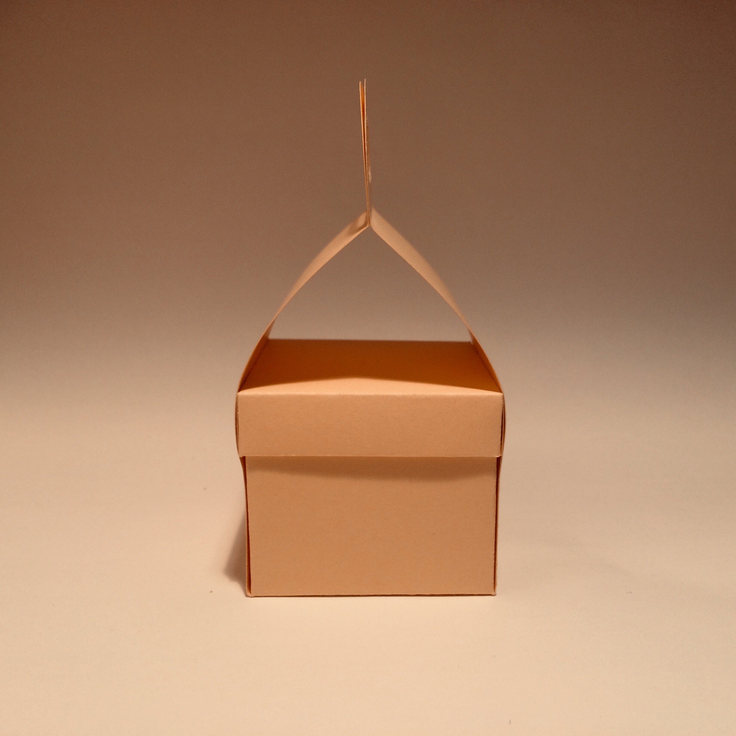 Take out bag, take out box template, takeout box, paper bag, - Inspire ...