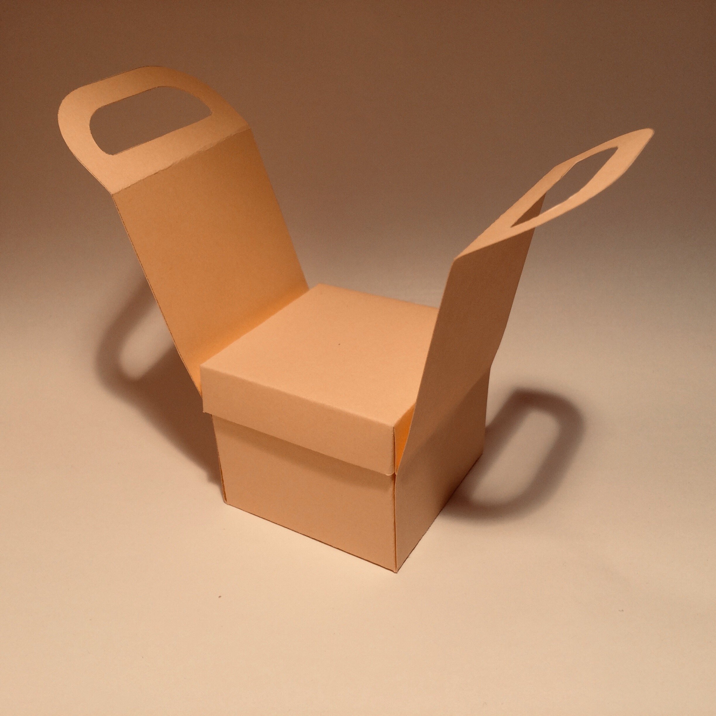 Take out bag, take out box template, takeout box, paper bag, - Inspire ...