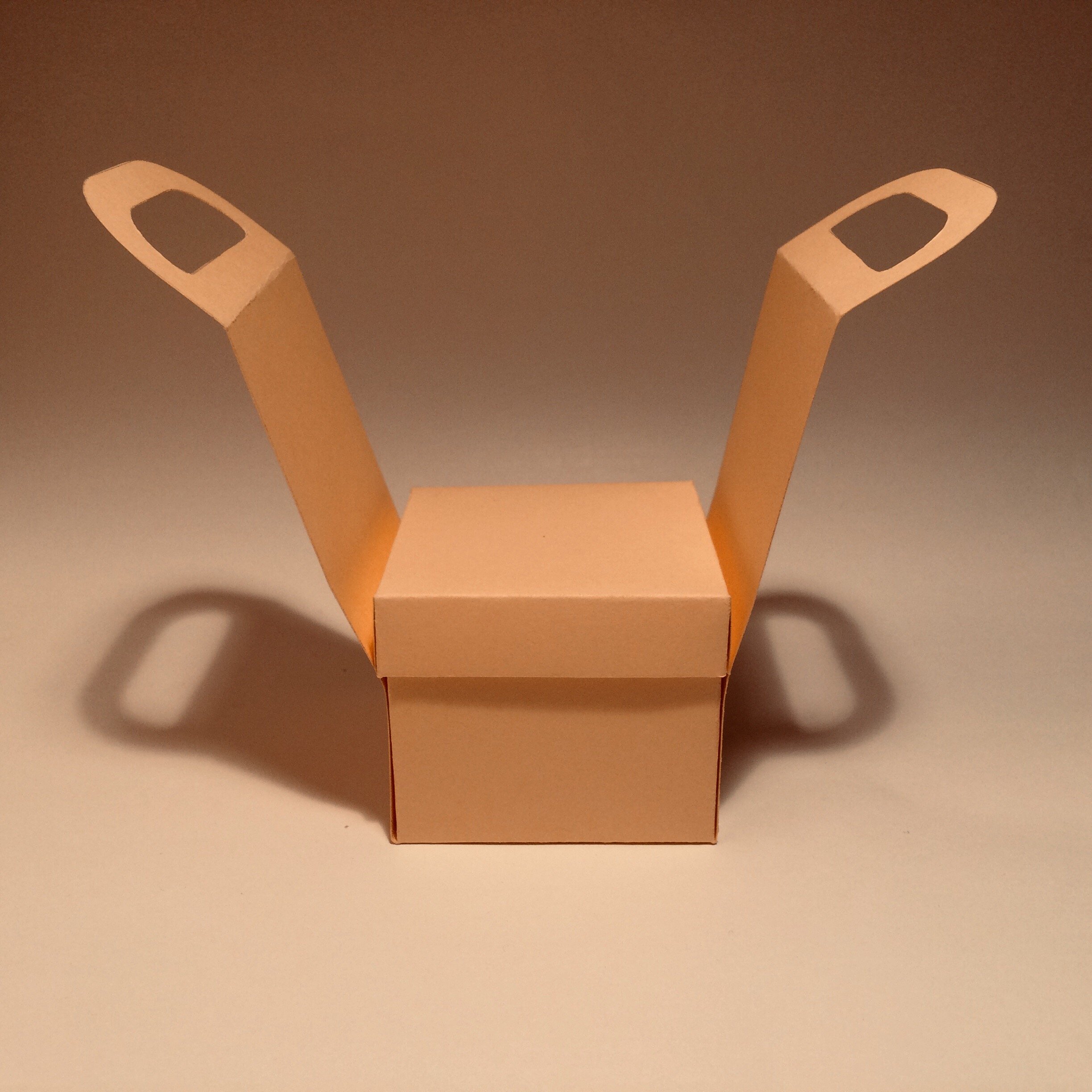 Take out bag, take out box template, takeout box, paper bag, - Inspire ...