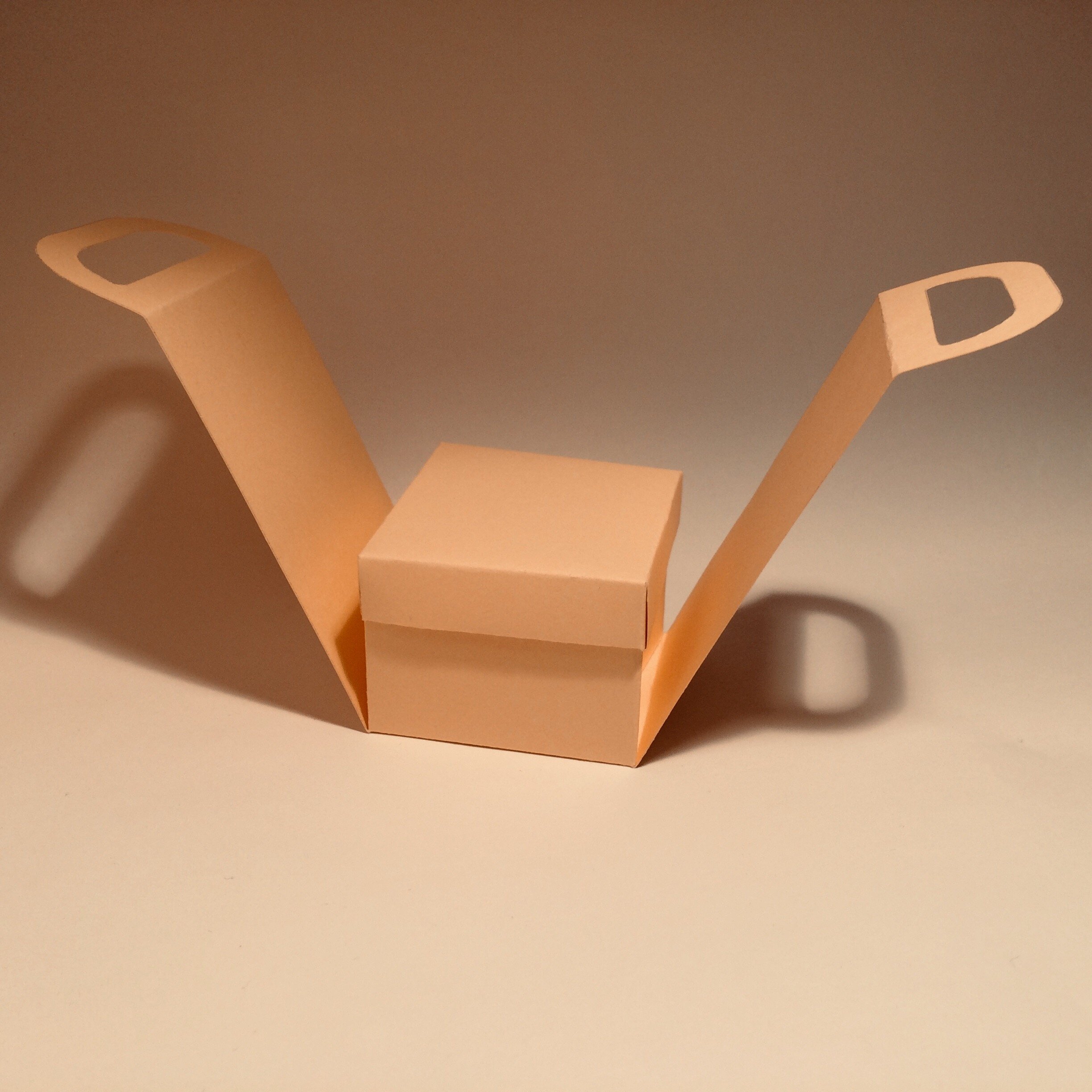 Take out bag, take out box template, takeout box, paper bag, - Inspire ...