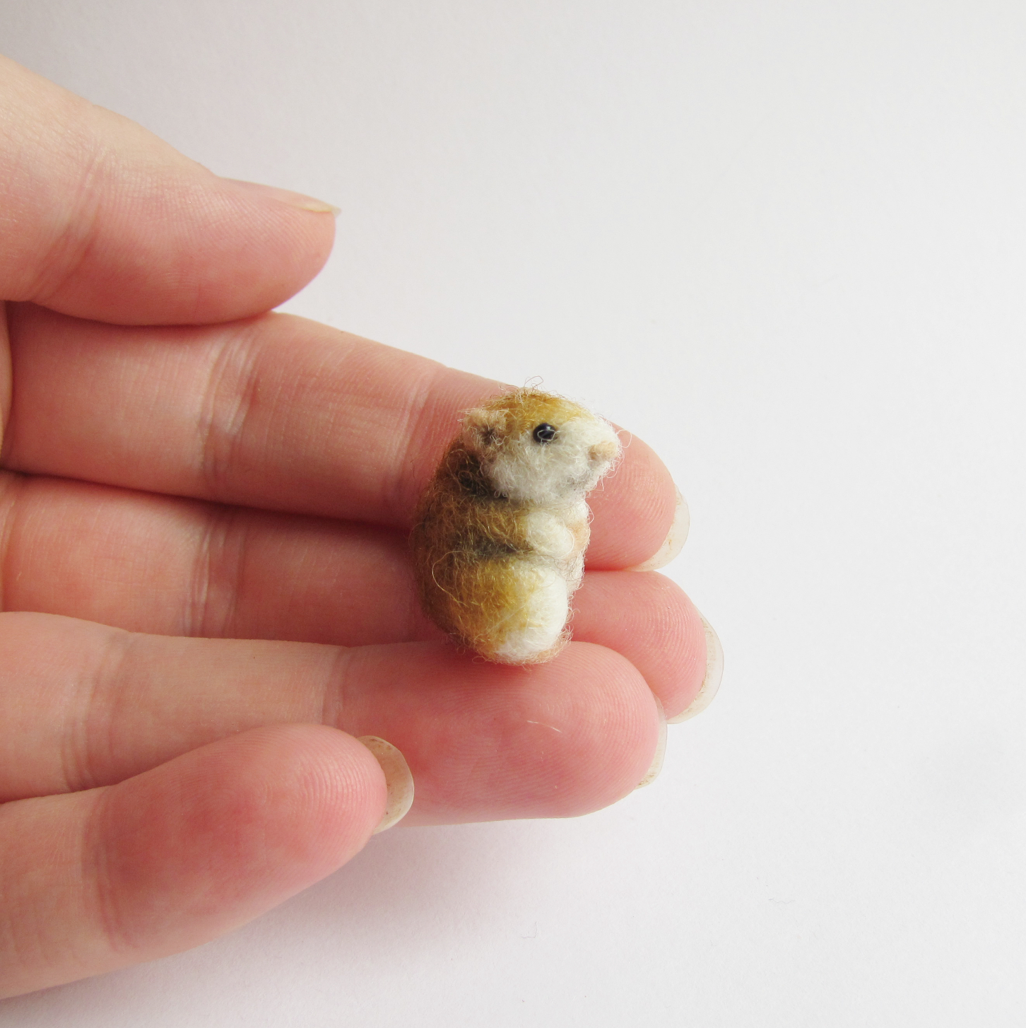 Worlds Smallest Hamster