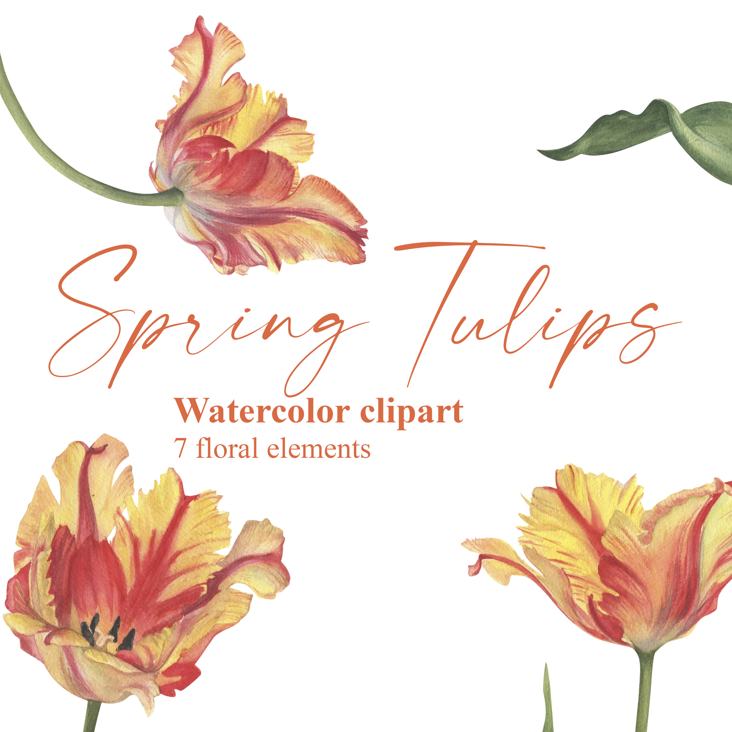 Tulips Watercolor Clipart | Inspire Uplift
