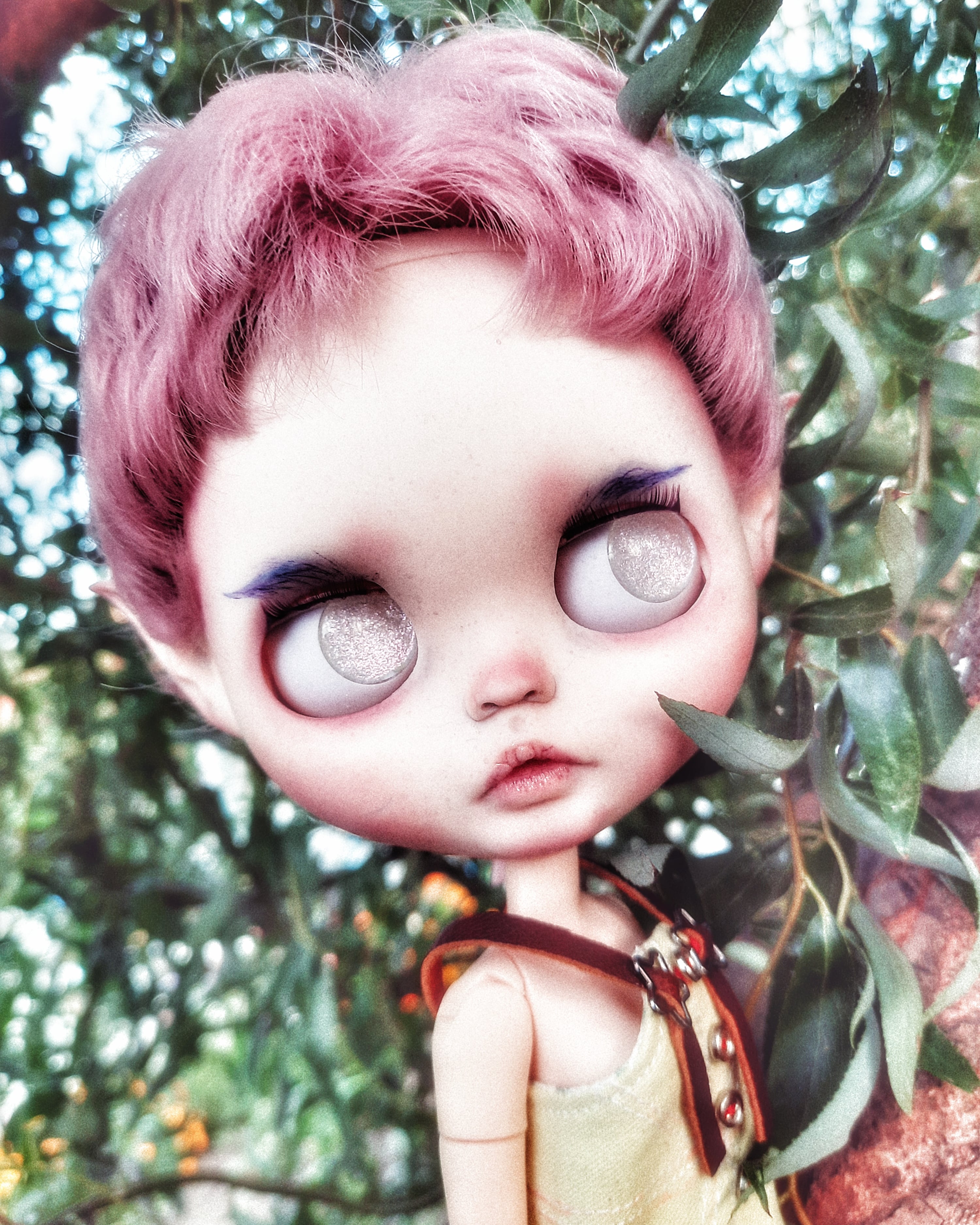 Blythe doll custom Elf doll Fairytale doll Child doll Free s - Inspire ...