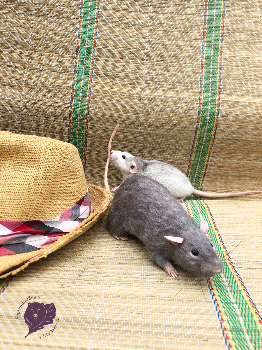 realistic rat felt toy pet portrait - Inspire Uplift