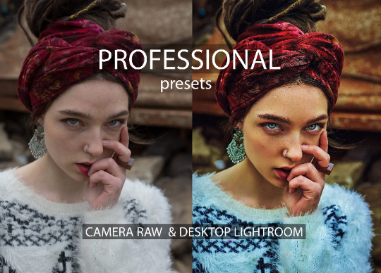50 Camera Raw presets | professiona presets | desktop preset | Inspire ...